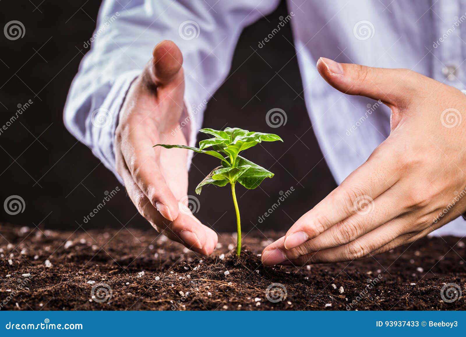 Hands and plants stock image. Image of ecology, live - 93937433