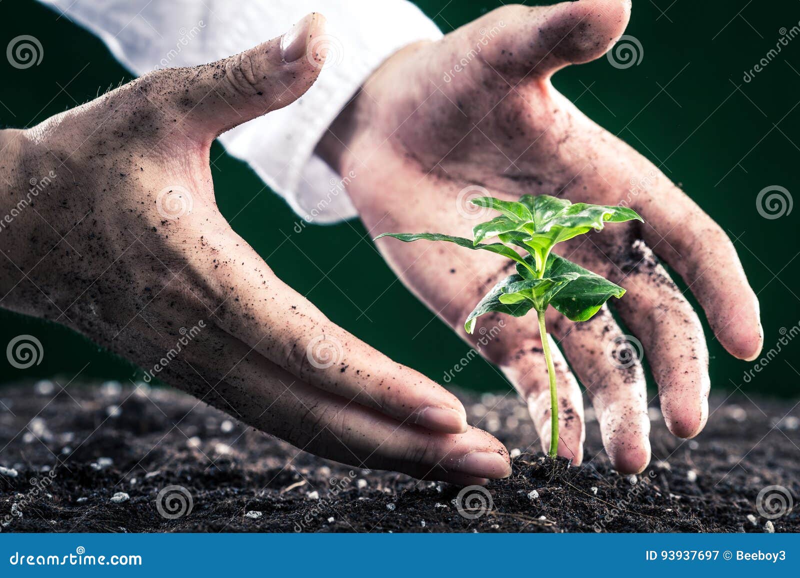 Hands and plants stock image. Image of environmental - 93937697