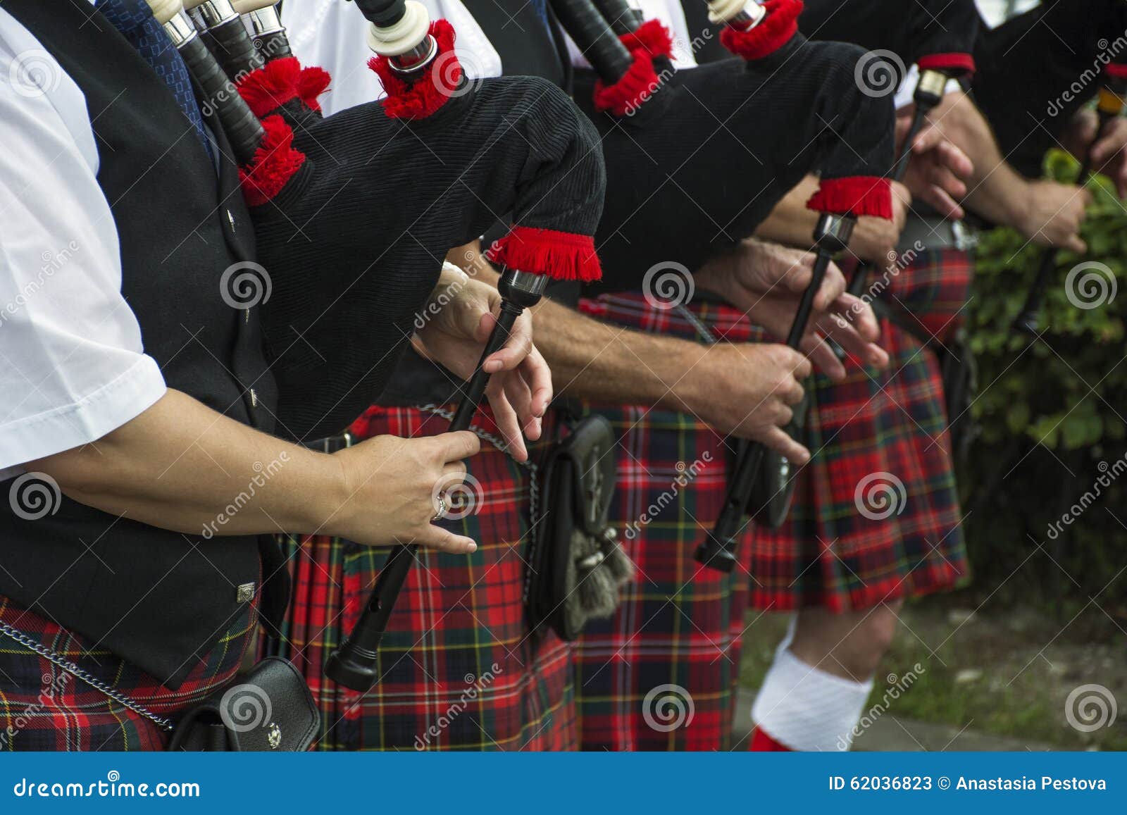 Hands play the bagpipes stock image. Image of hands, check - 62036823
