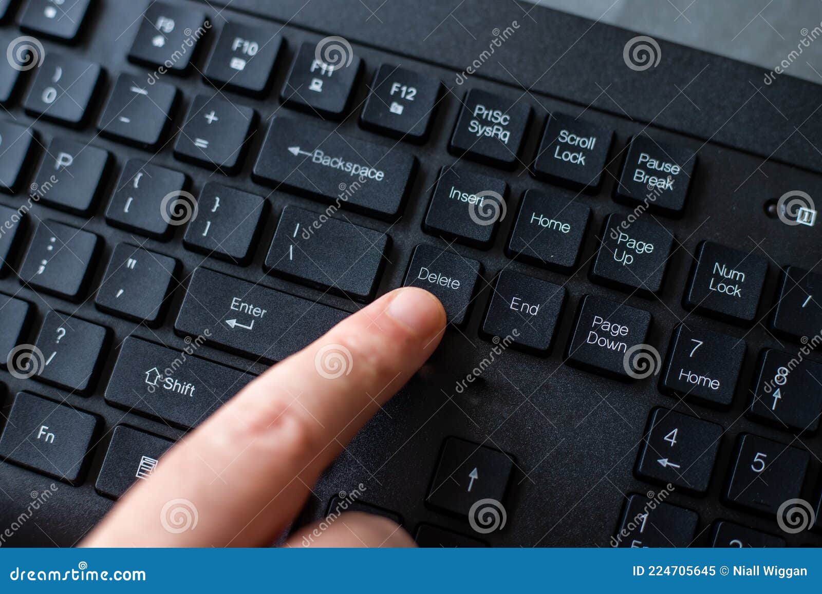 Computer Keyboard Fingers