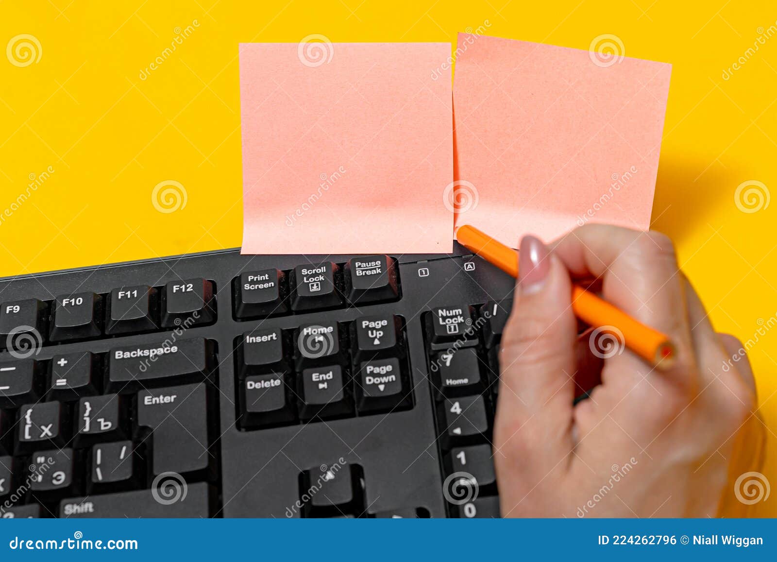 Hands Pointing Pressing Computer Keyboard Keys Typewriting New Ideas ...