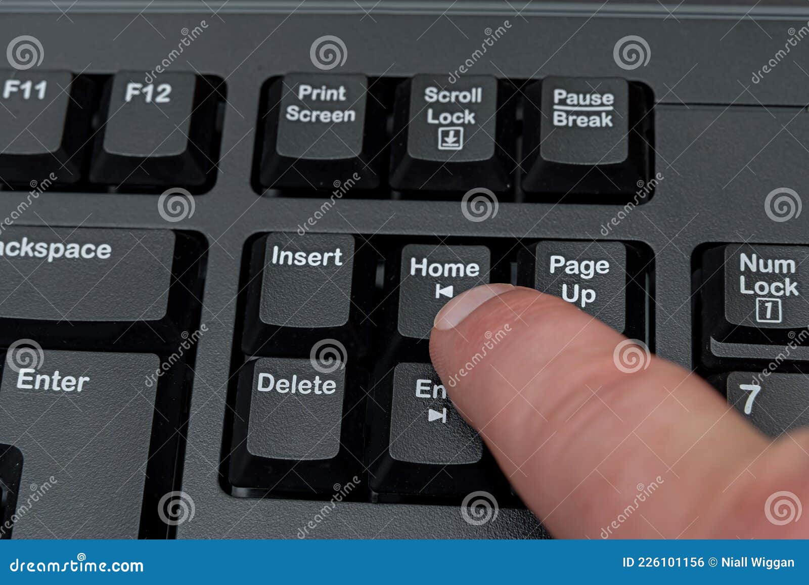 Hands Pointing Pressing Computer Keyboard Keys Typewriting New Ideas ...