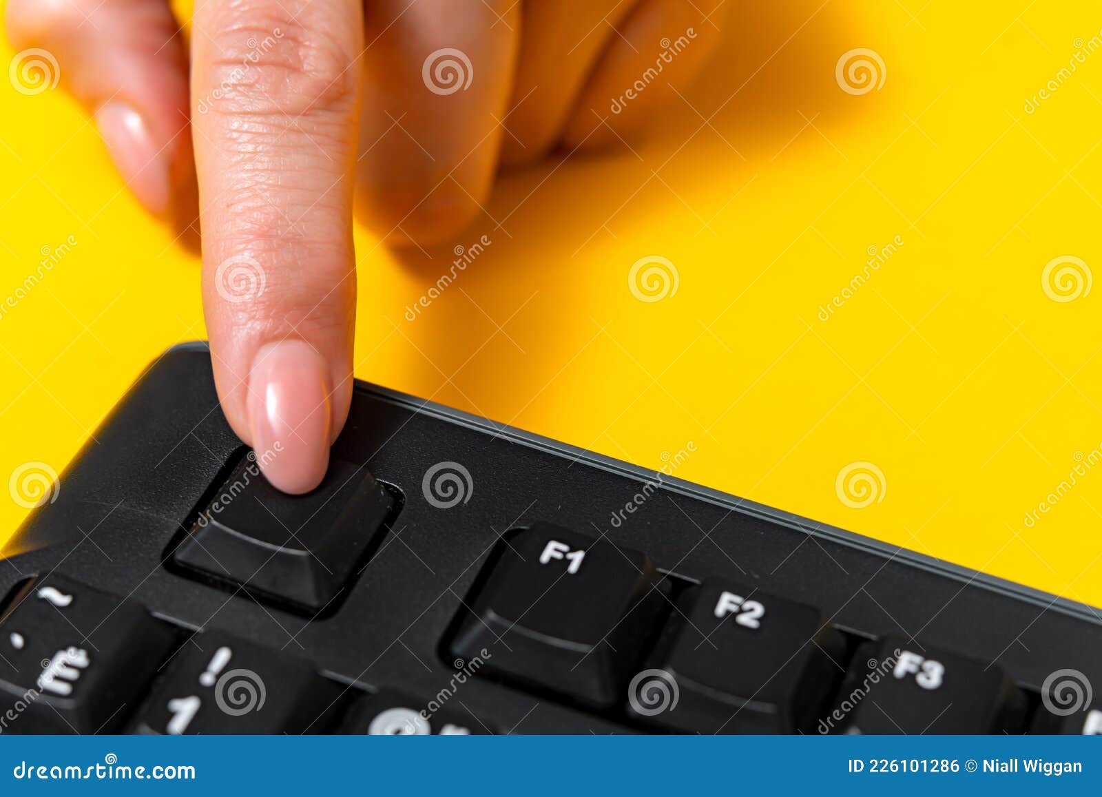 Hands Pointing Pressing Computer Keyboard Keys Typewriting New Ideas ...