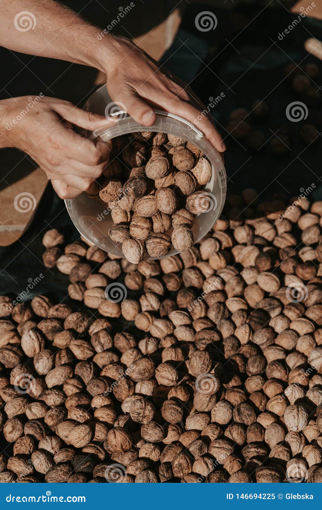 Hands Pour Walnuts from Plastic Bucket Stock Image - Image of full ...