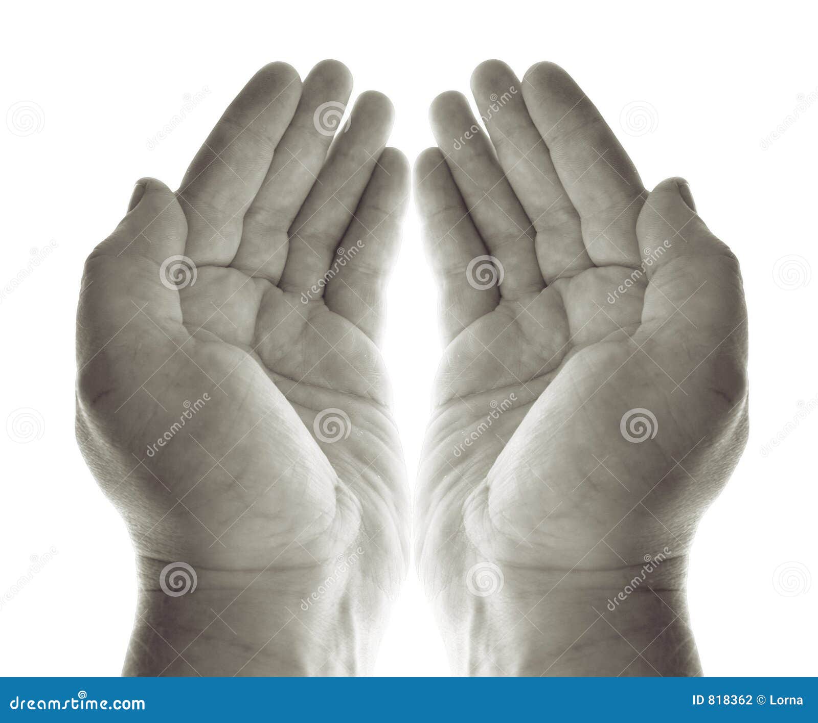 Hands prayer stock photo. Image of isolated, hold, white - 818362