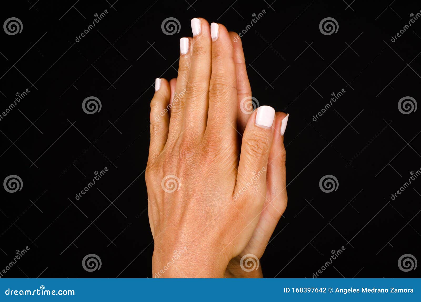 Hands in praying gesture stock photo. Image of gesture - 168397642