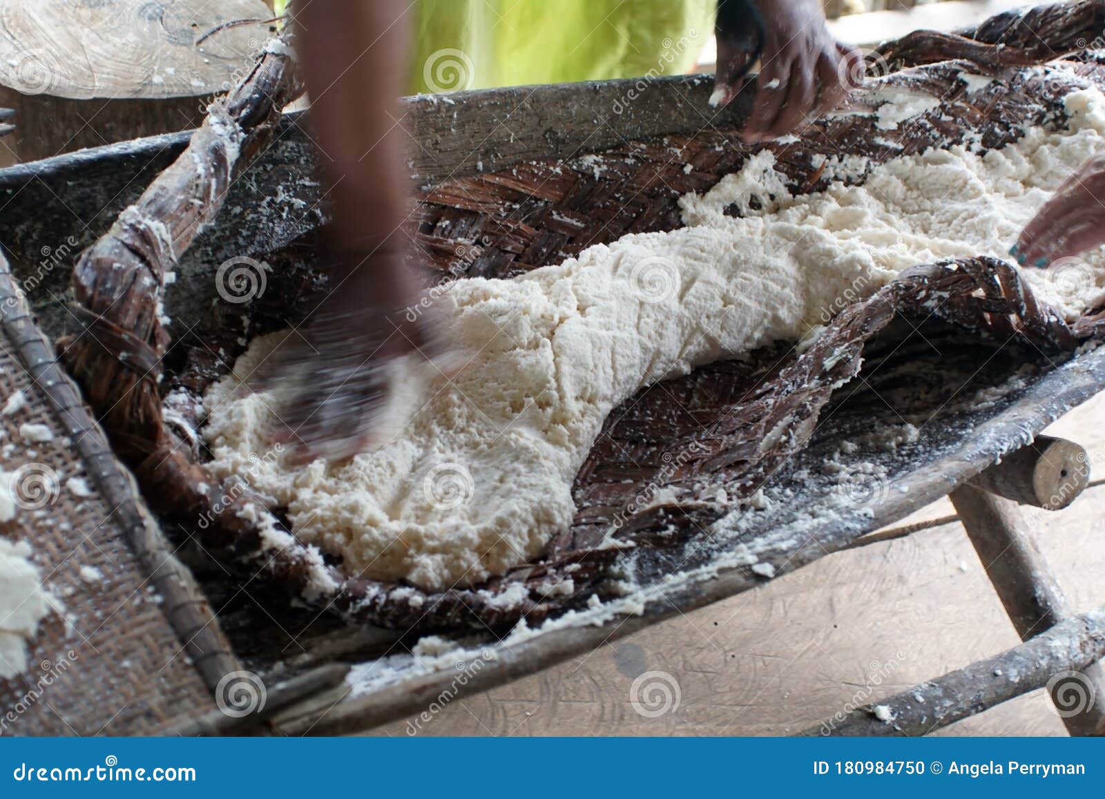 Hands Preparing Yucca Bread Stock Photo - Image of wildlife, indigenous ...