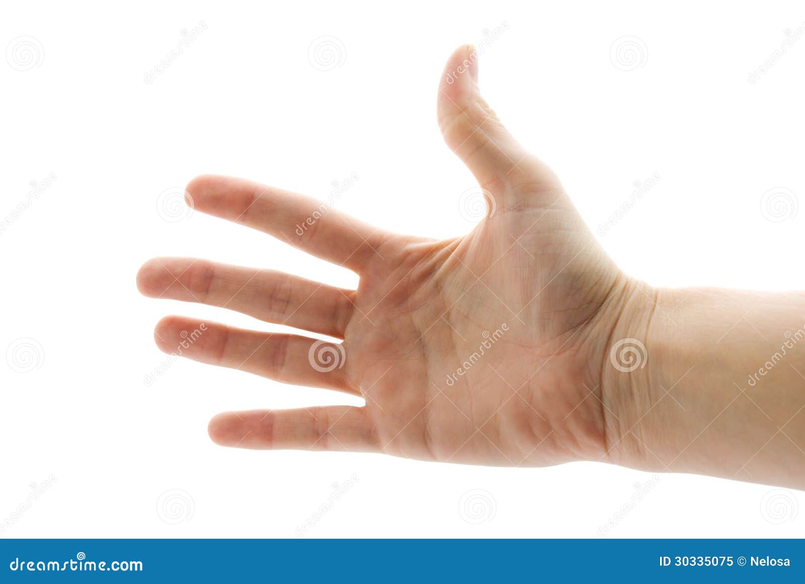 Hands in presentation stock image. Image of feature, carrying - 30335075