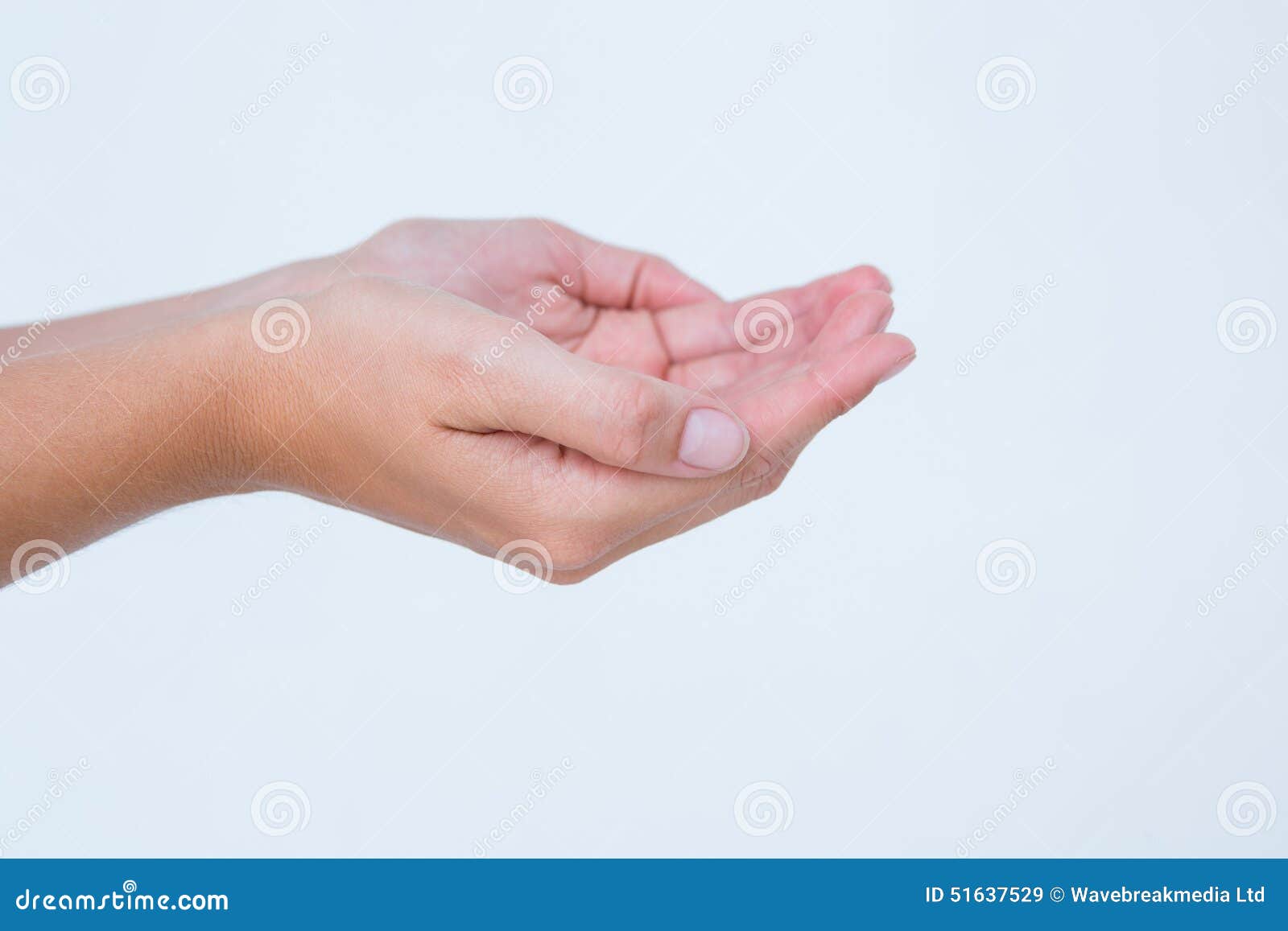 Hands presenting stock image. Image of background, shot - 51637529