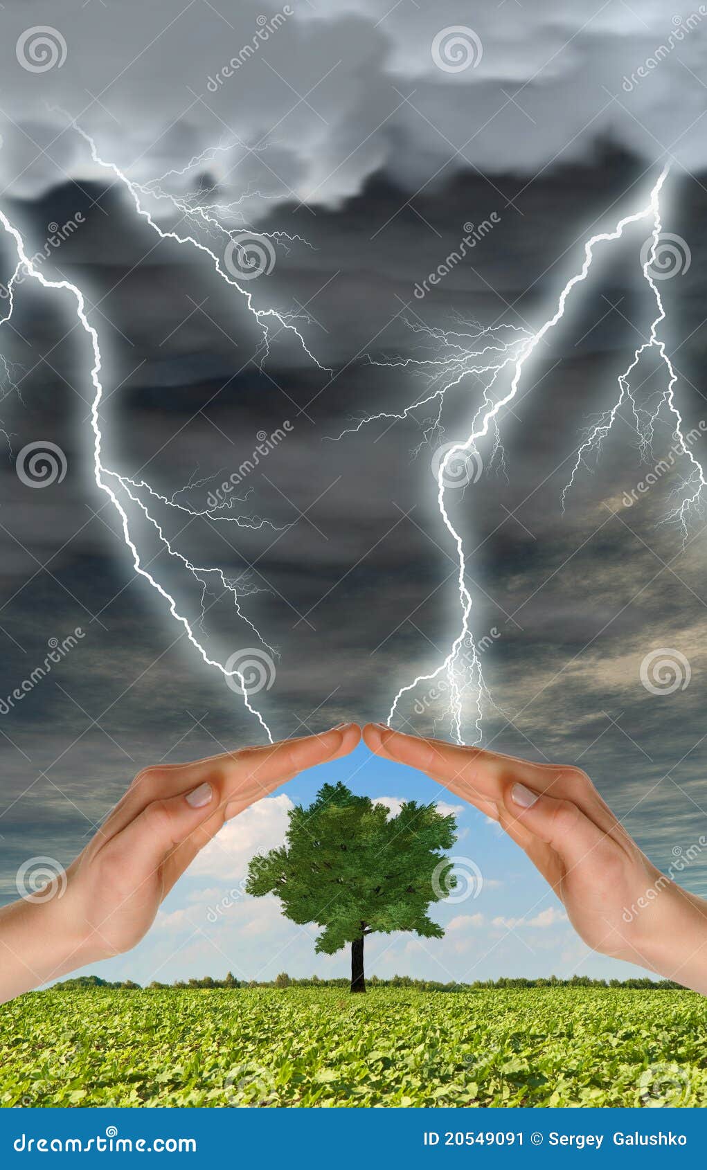 Hands Preserve a Green Tree Against Thunder-storm Stock Image - Image ...
