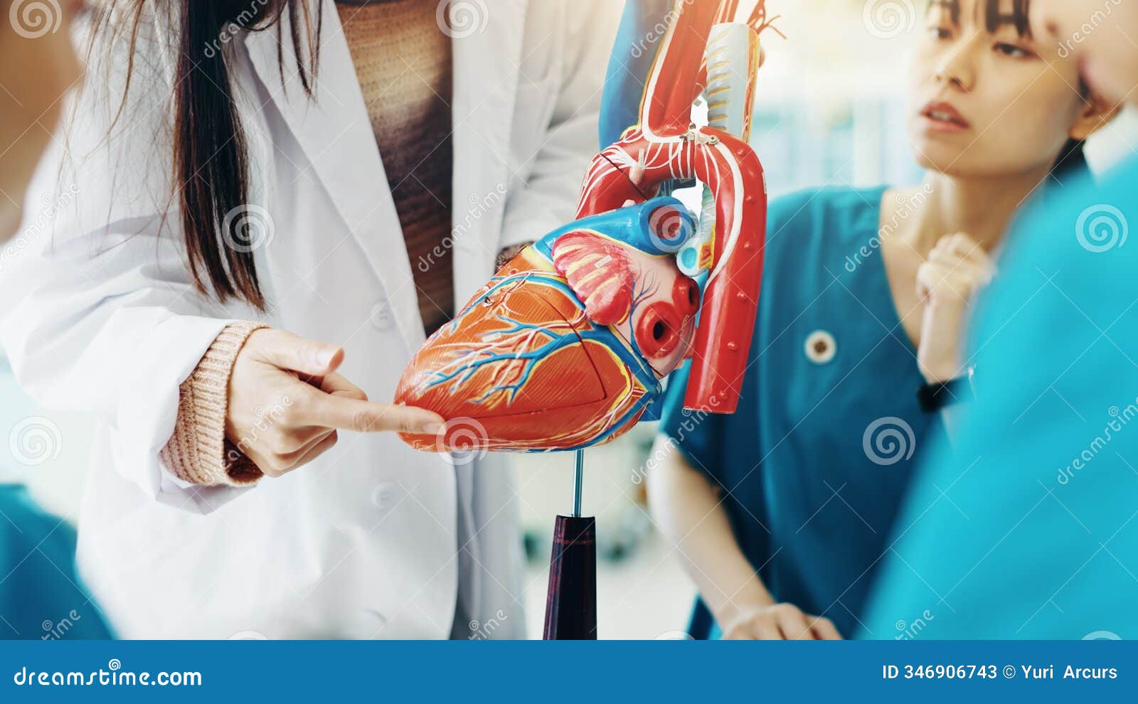 Hands, Professor and Students with Heart in Hospital for Lesson ...