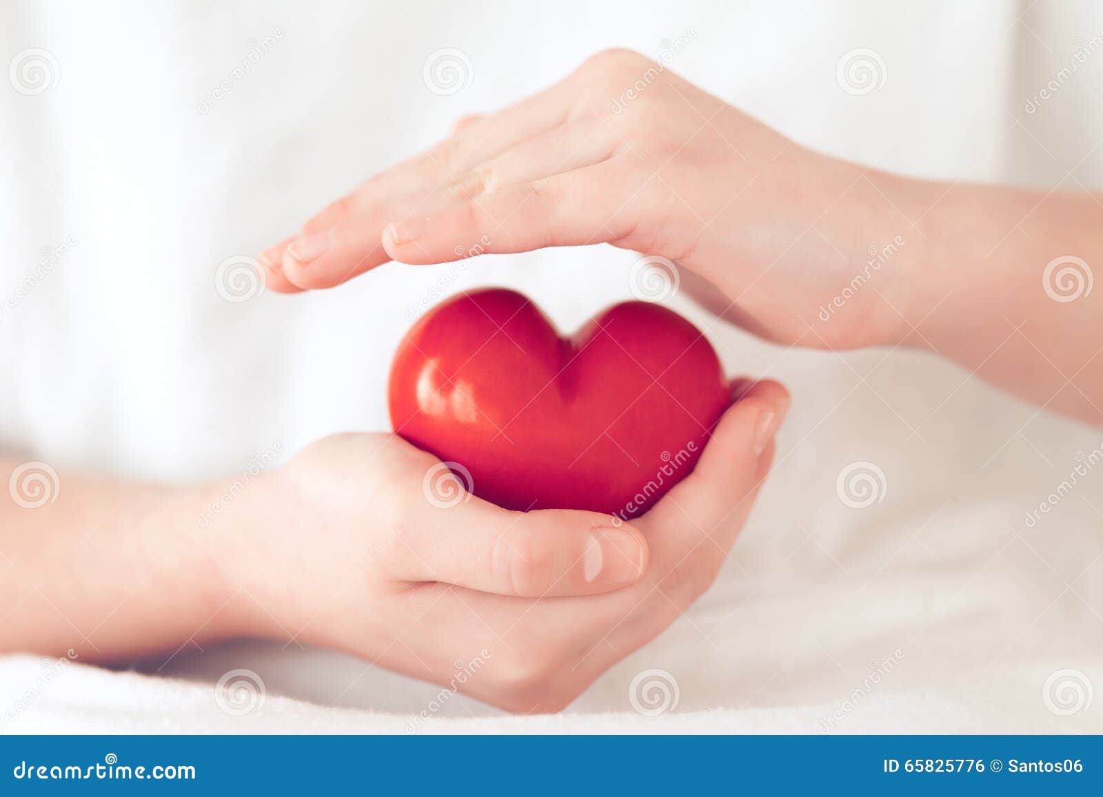 Hands protect a heart stock photo. Image of love, cardiologist - 65825776