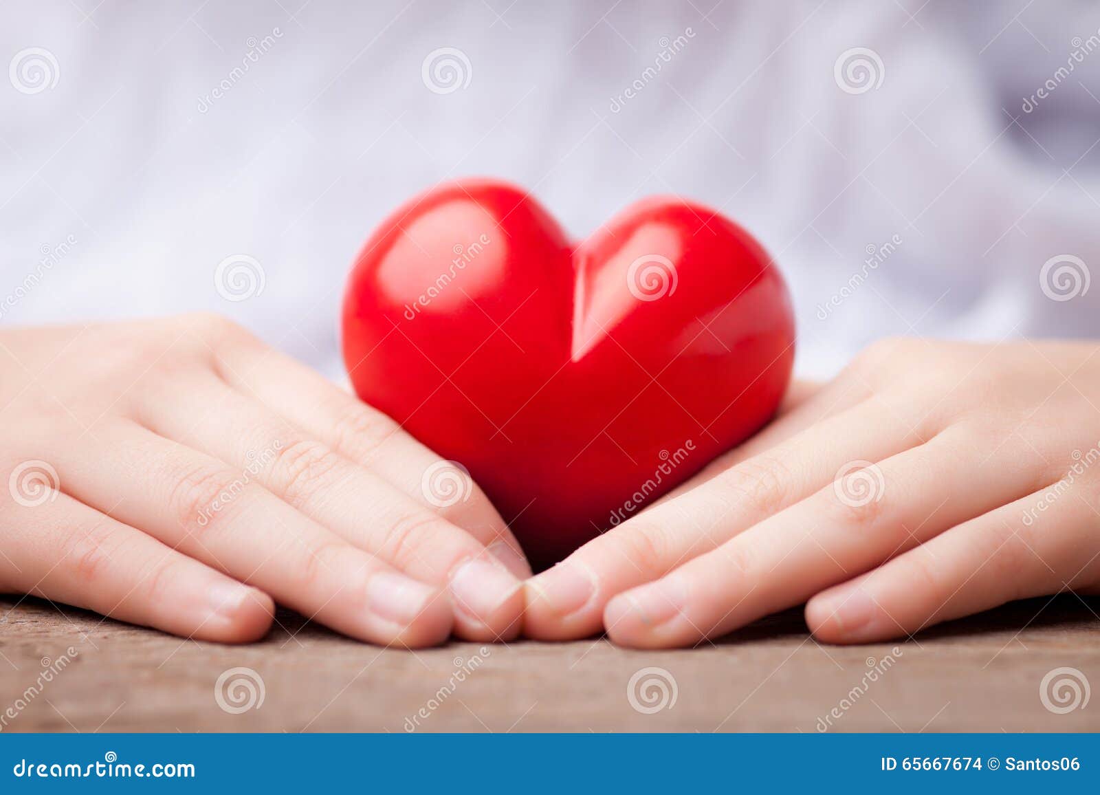 Hands protect a heart stock photo. Image of heart, gift - 65667674