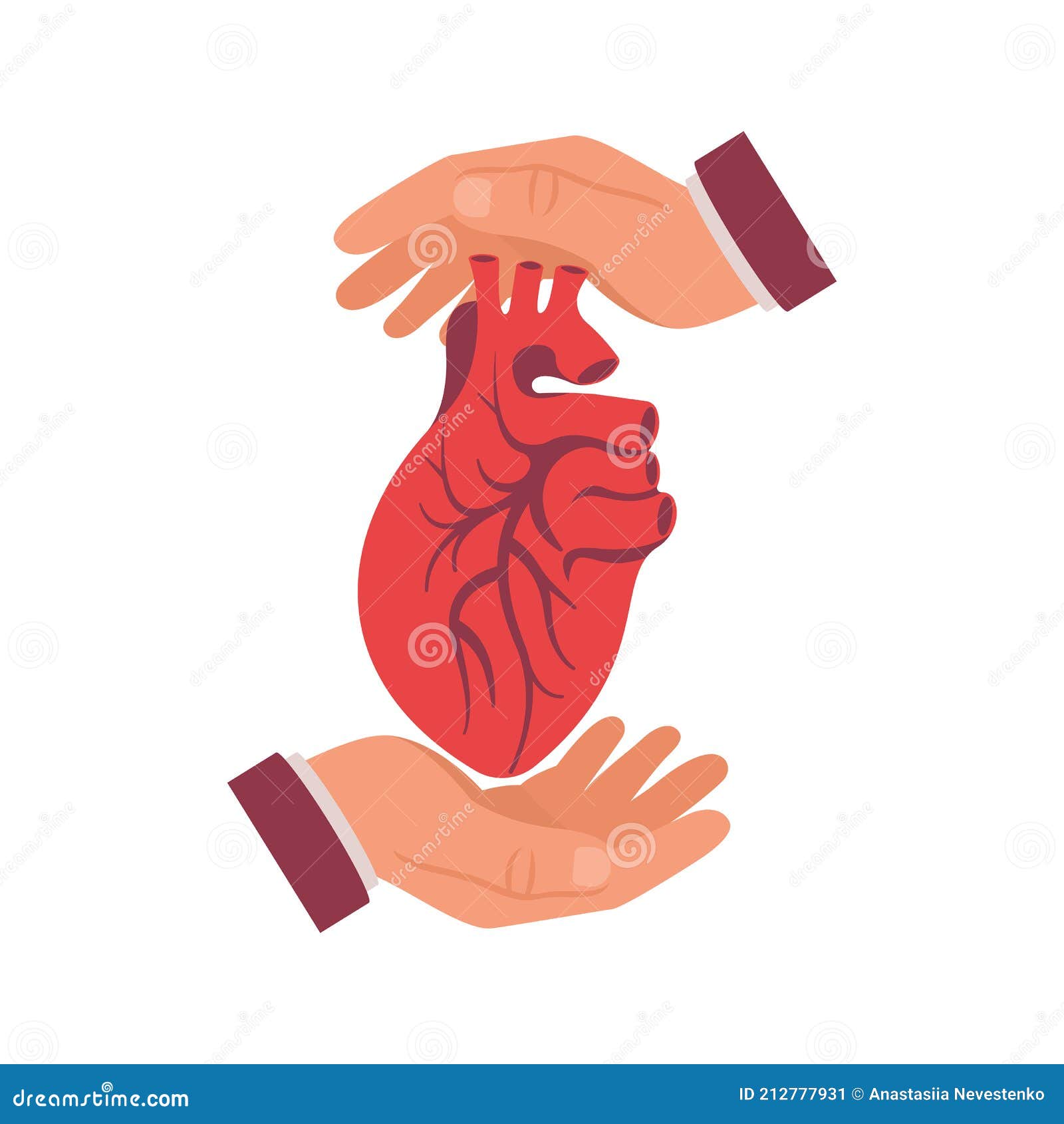 Hands Protect the Human Heart Vector Stock Vector - Illustration of ...