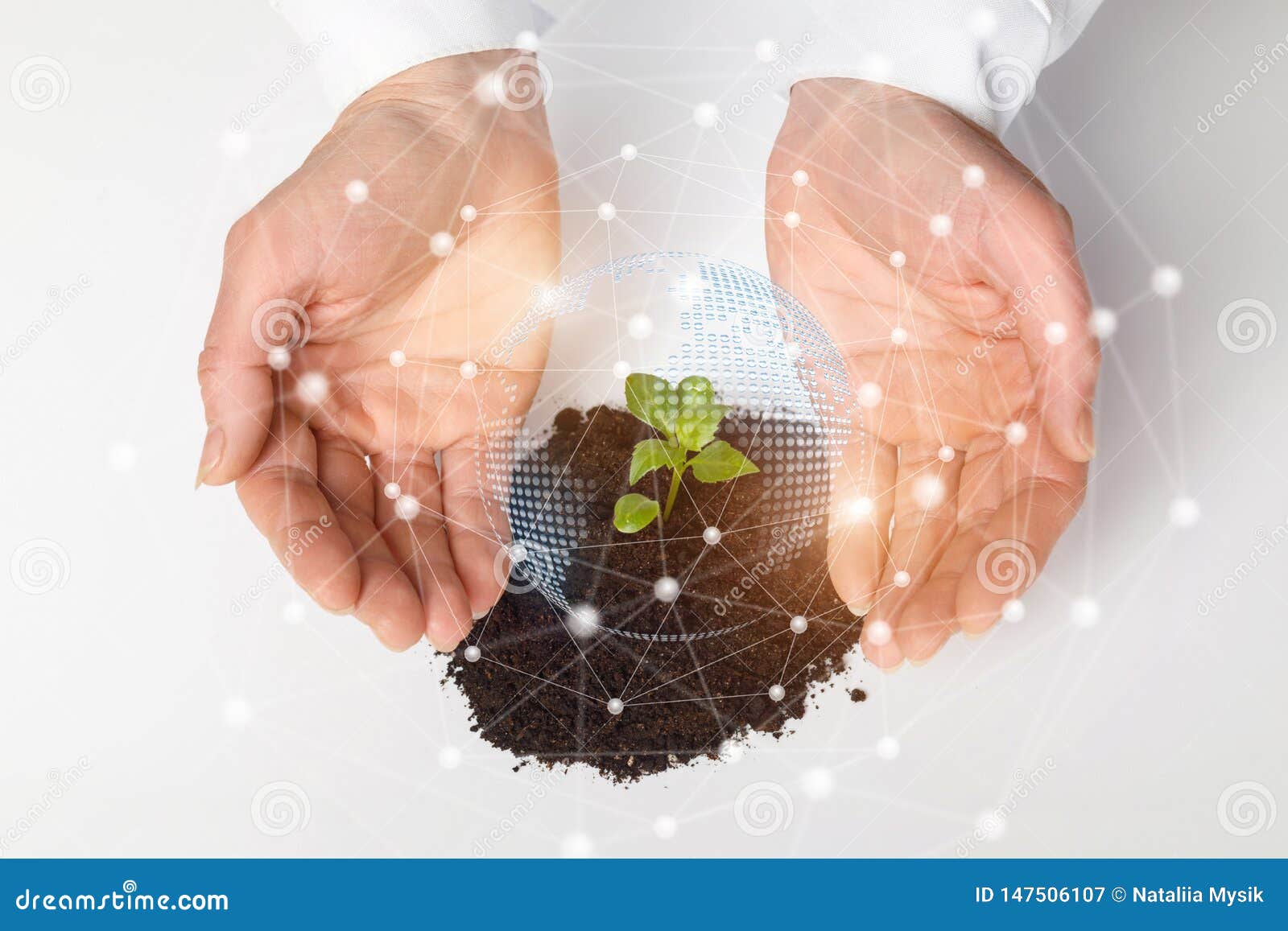 Hands protect sprout stock illustration. Illustration of green - 147506107