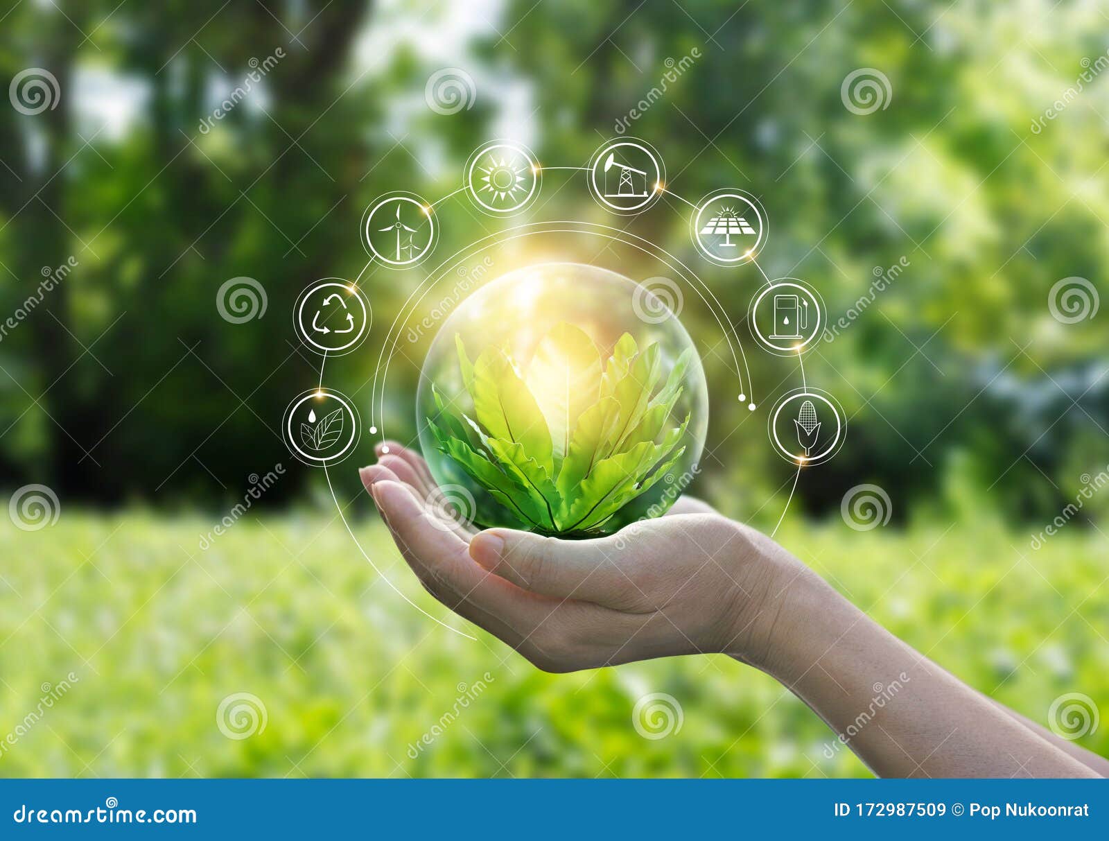 Hands Protecting Globe of Green Tree on Tropical Nature Summer ...