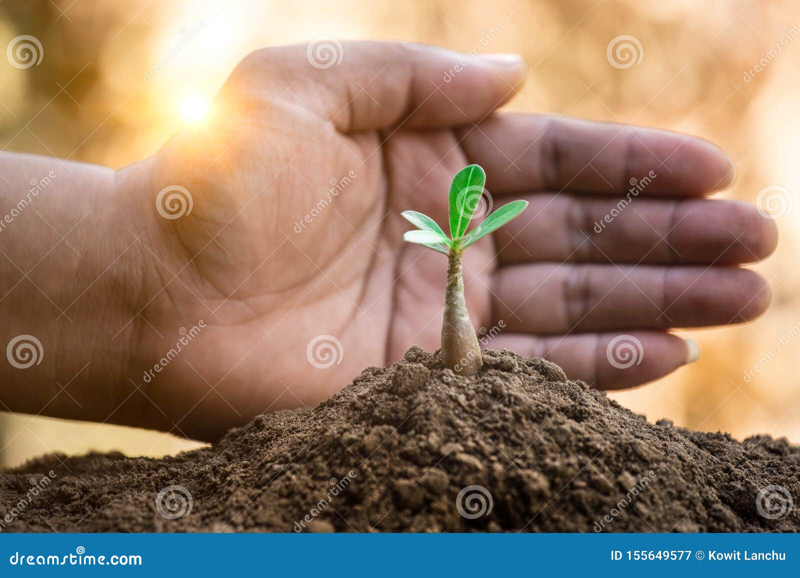 Hands Protecting The Recycling Symbol Royalty-Free Stock Photo ...