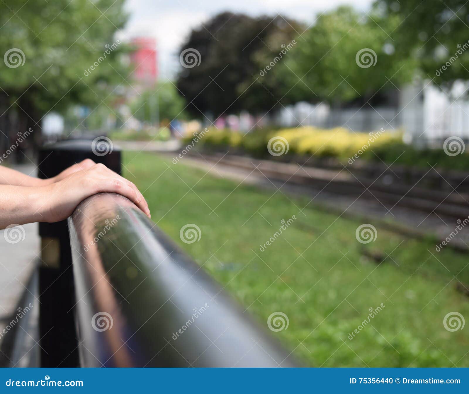 Hands on rail stock photo. Image of blur, holding, grass - 75356440