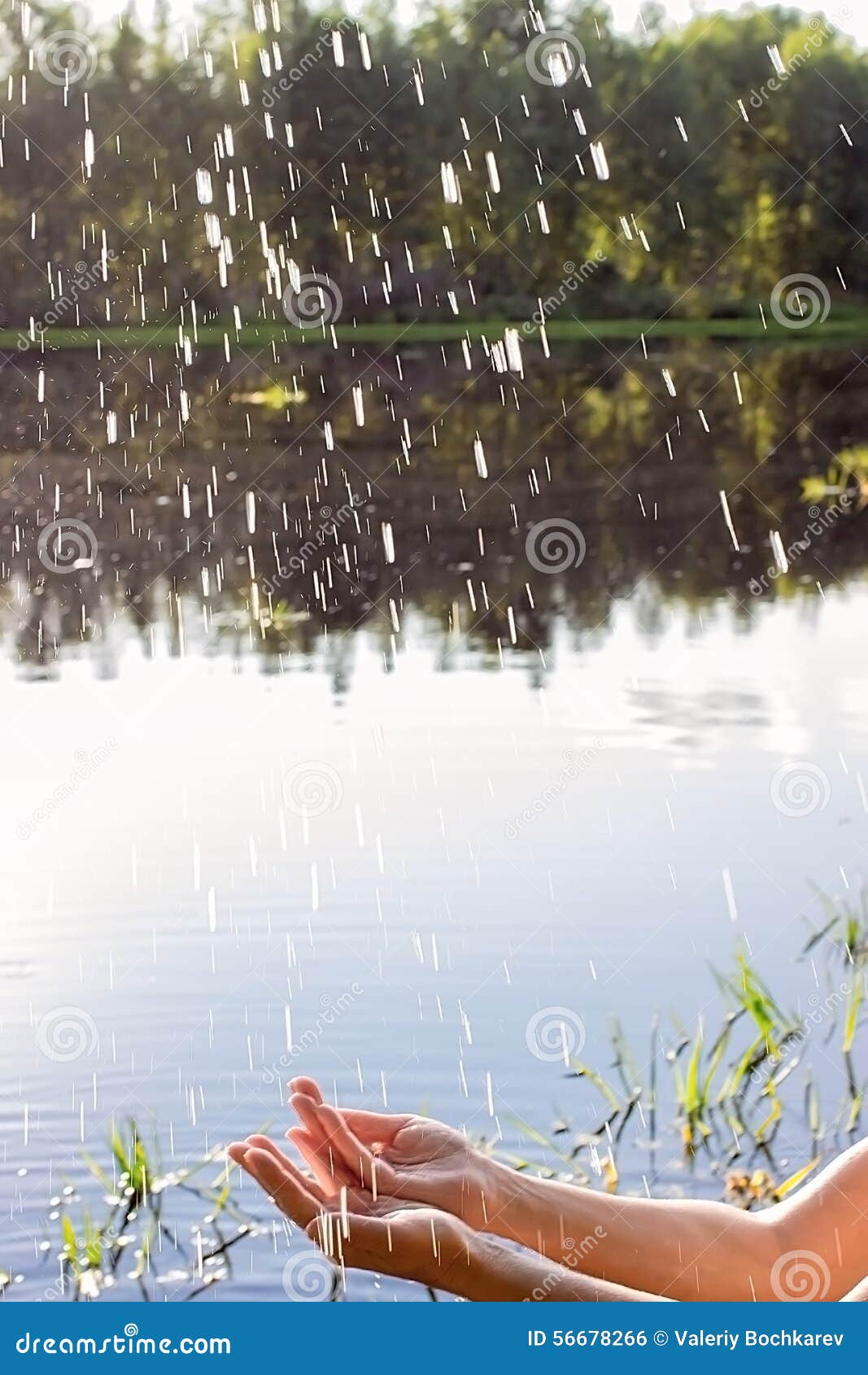 Hands in the rain stock photo. Image of human, reflection - 56678266