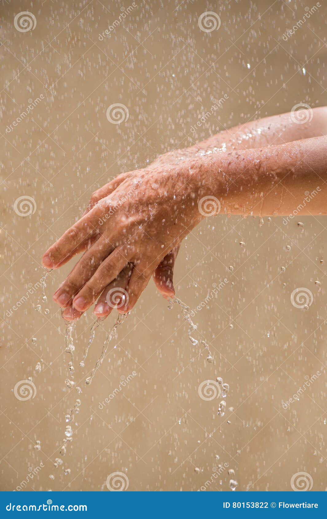 Hands in the rain stock photo. Image of female, hands - 80153822
