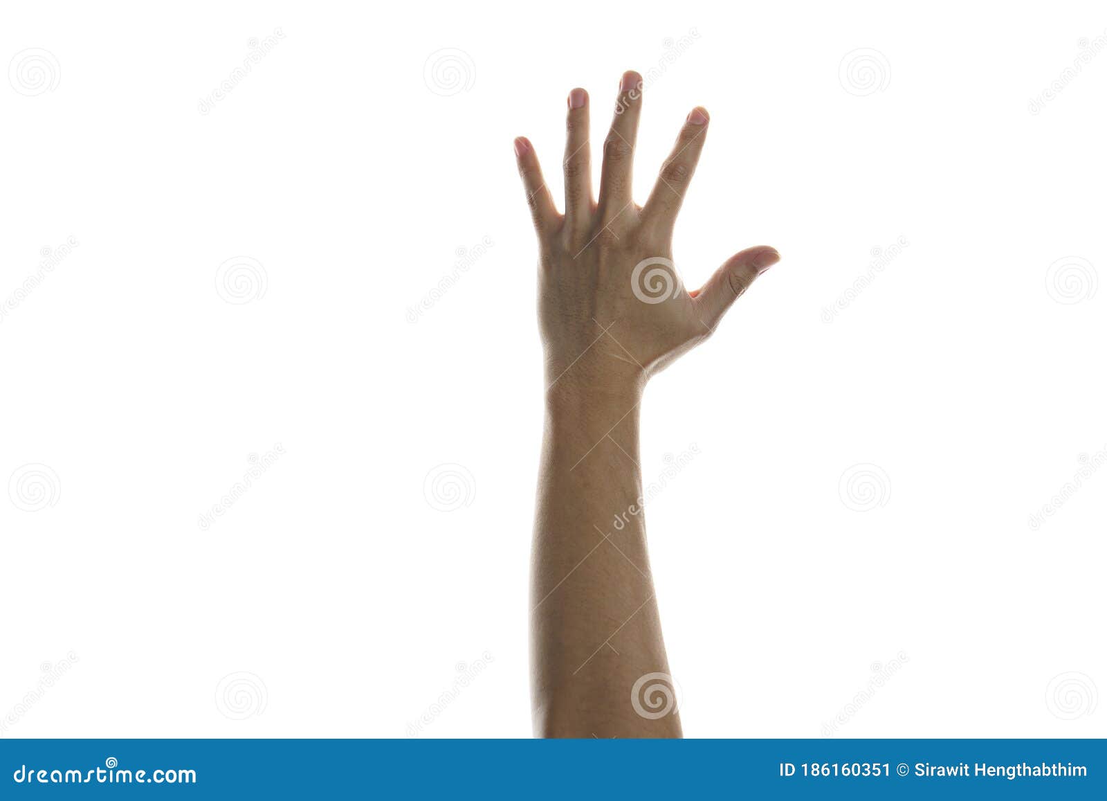 224 Hands Raised Surrender Photos - Free & Royalty-Free Stock Photos ...