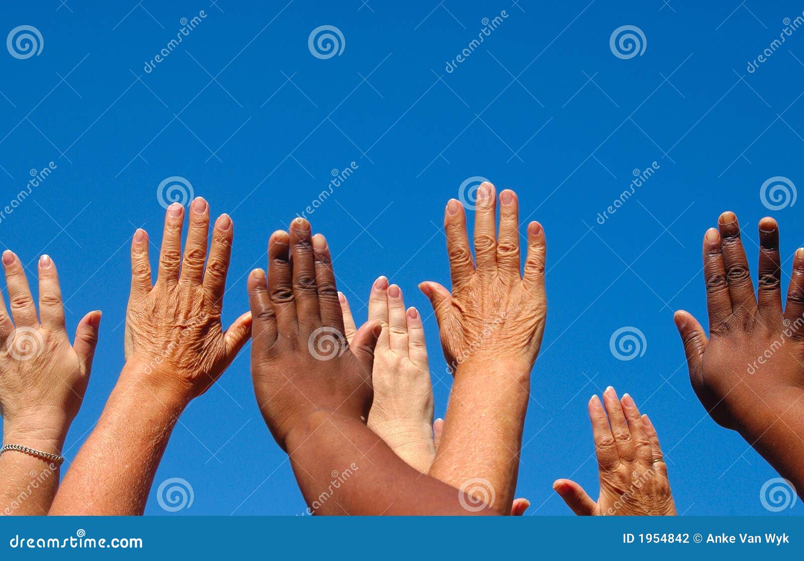 Hands raised together stock photo. Image of cheerful, caucasian - 1954842