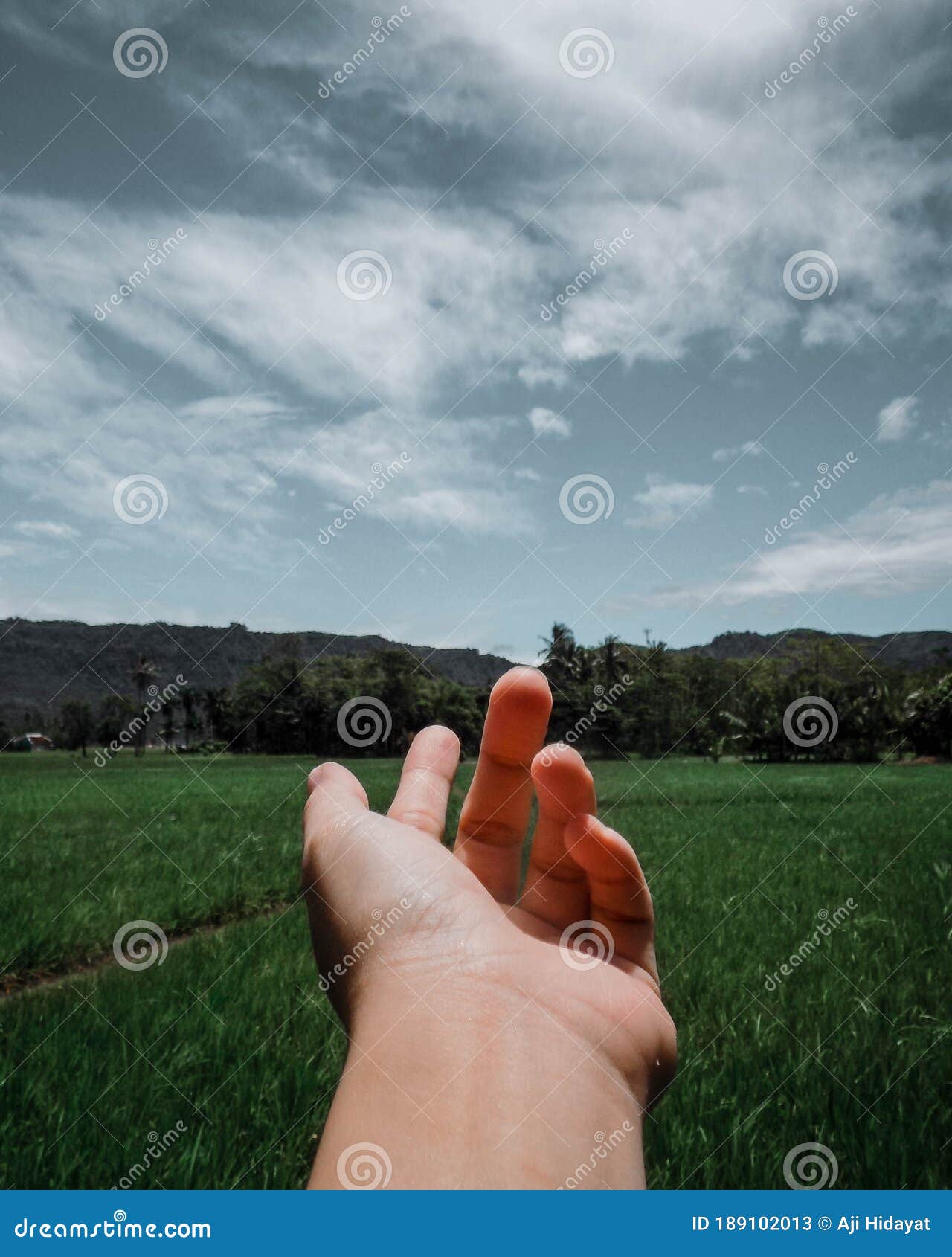 Hands reaching for the sky stock image. Image of landscape - 189102013