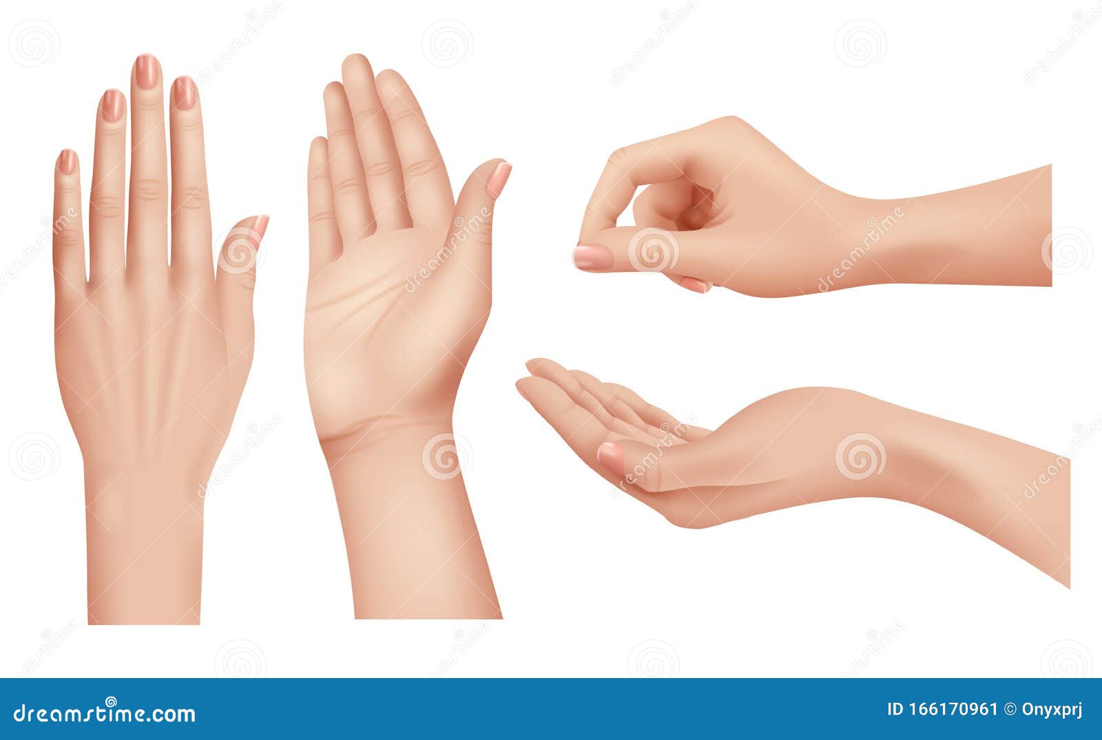 Hands Realistic. Gestures Human Palms and Fingers Pointing Hand People ...