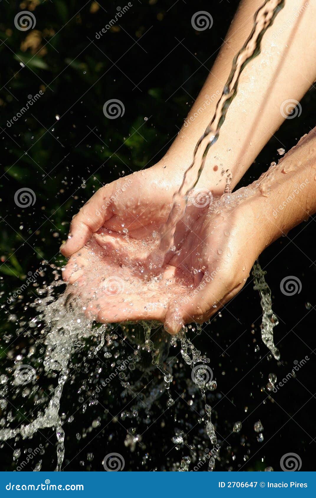 The Hands Receiving the Water Stock Image - Image of feel, mineral: 2706647