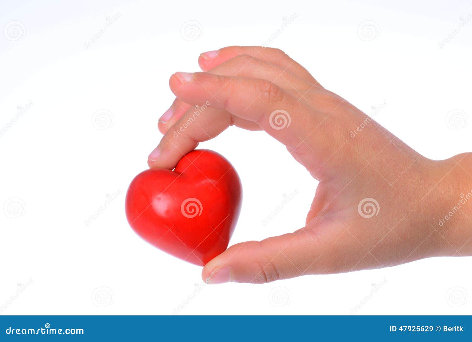 Hands with a red heart stock image. Image of isolated - 47925629