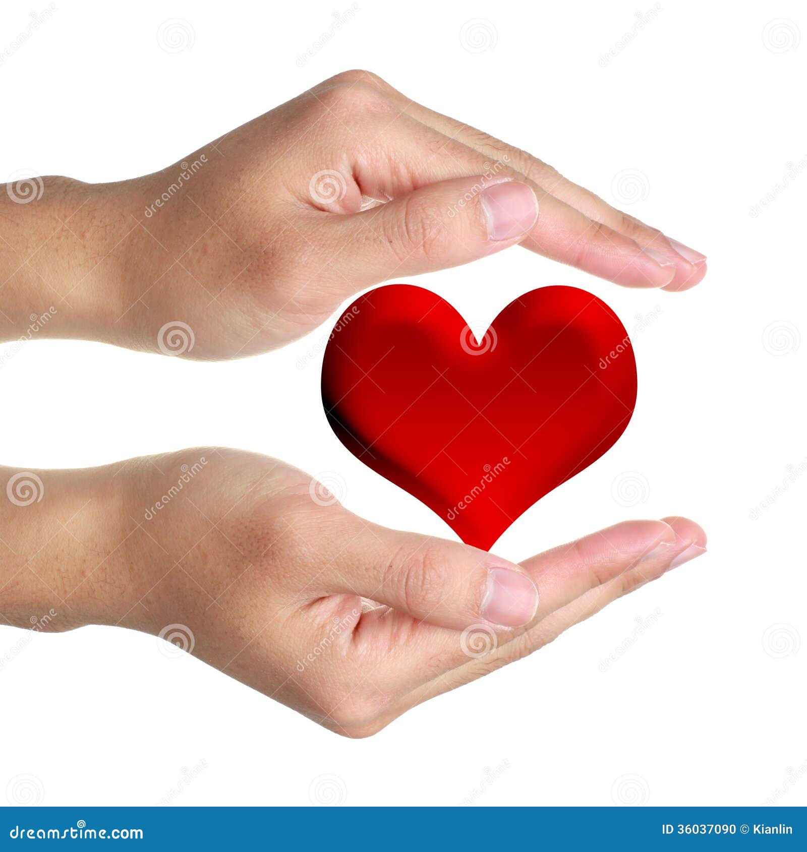 Hands and Red Heart stock photo. Image of safe, isolated - 36037090