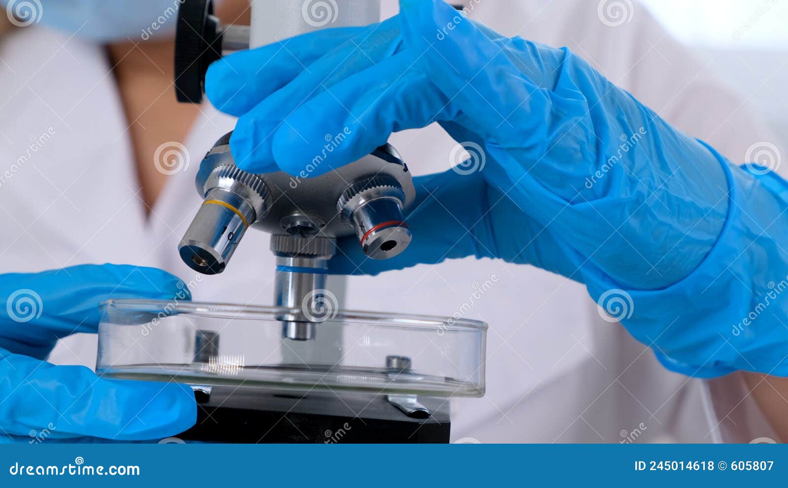 Hands of a Researcher Laboratory Assistant in Protective Gloves Holding ...
