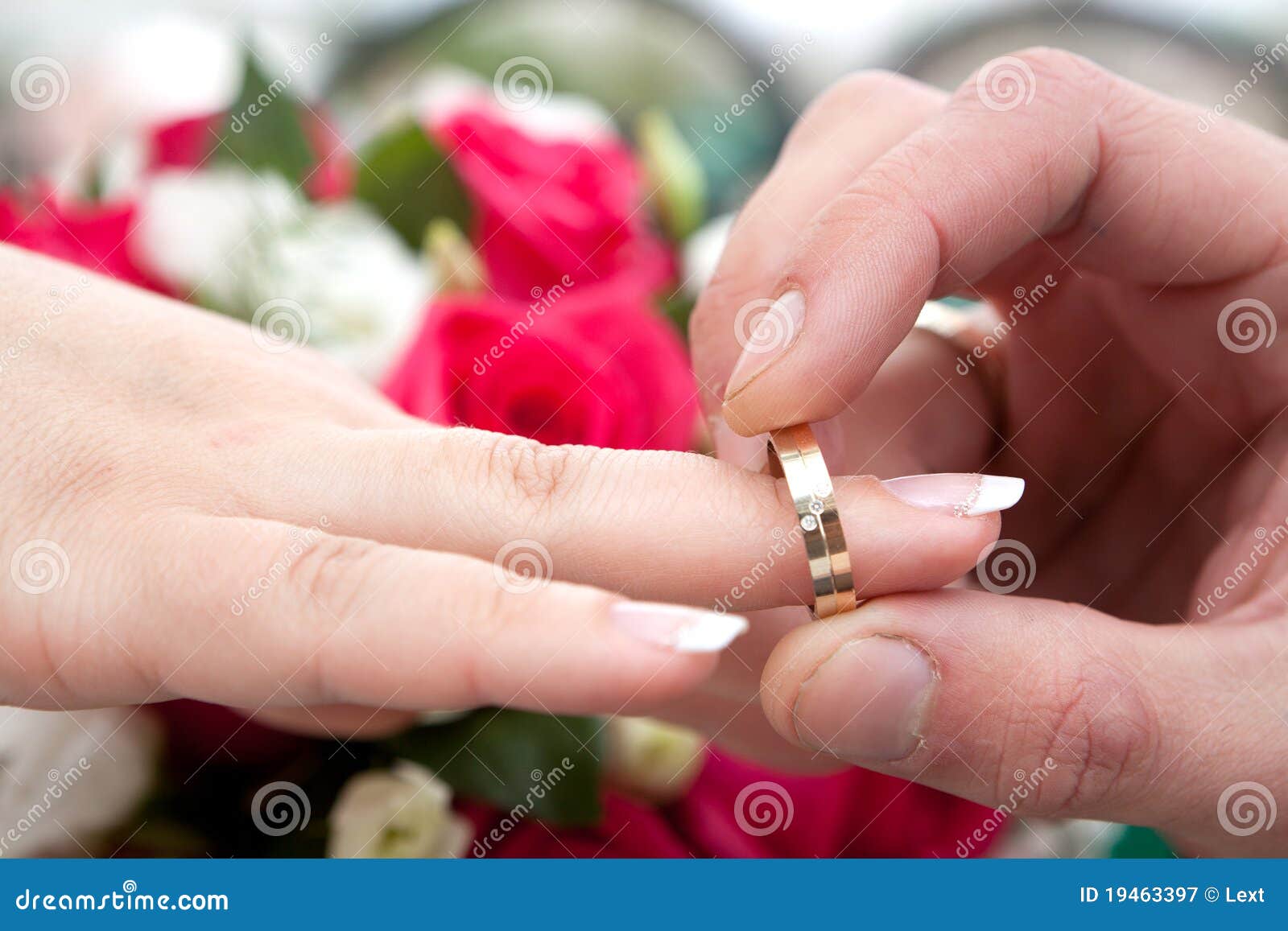 Hands with rings stock image. Image of wedding, married - 19463397