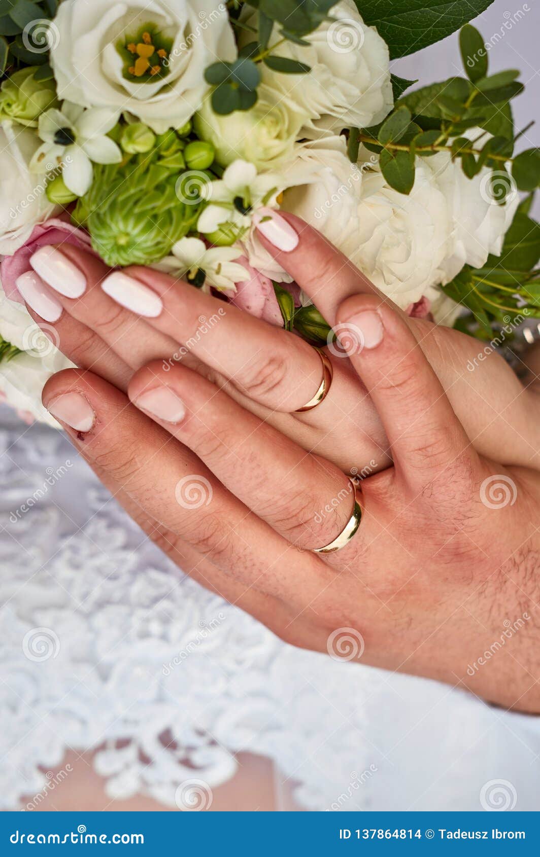 Hands and rings stock photo. Image of wedding, marriage - 137864814