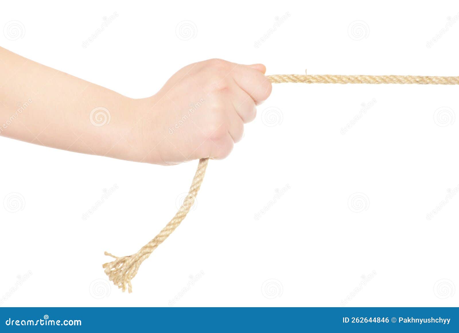 Hands and Rope Isolated on White Stock Photo - Image of gripping ...