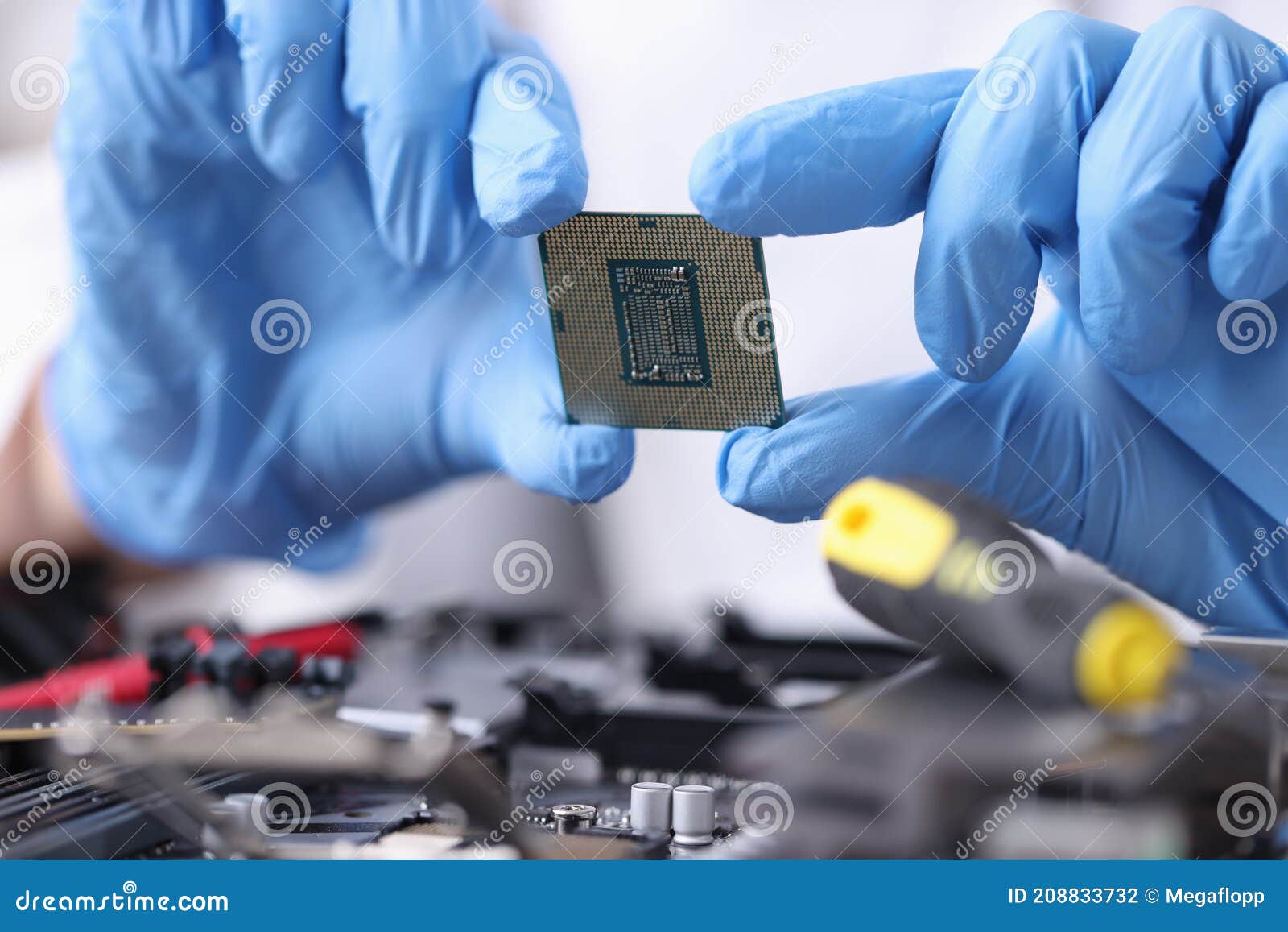 Hands in Rubber Gloves are Holding Microprocessor Closeup Stock Photo ...