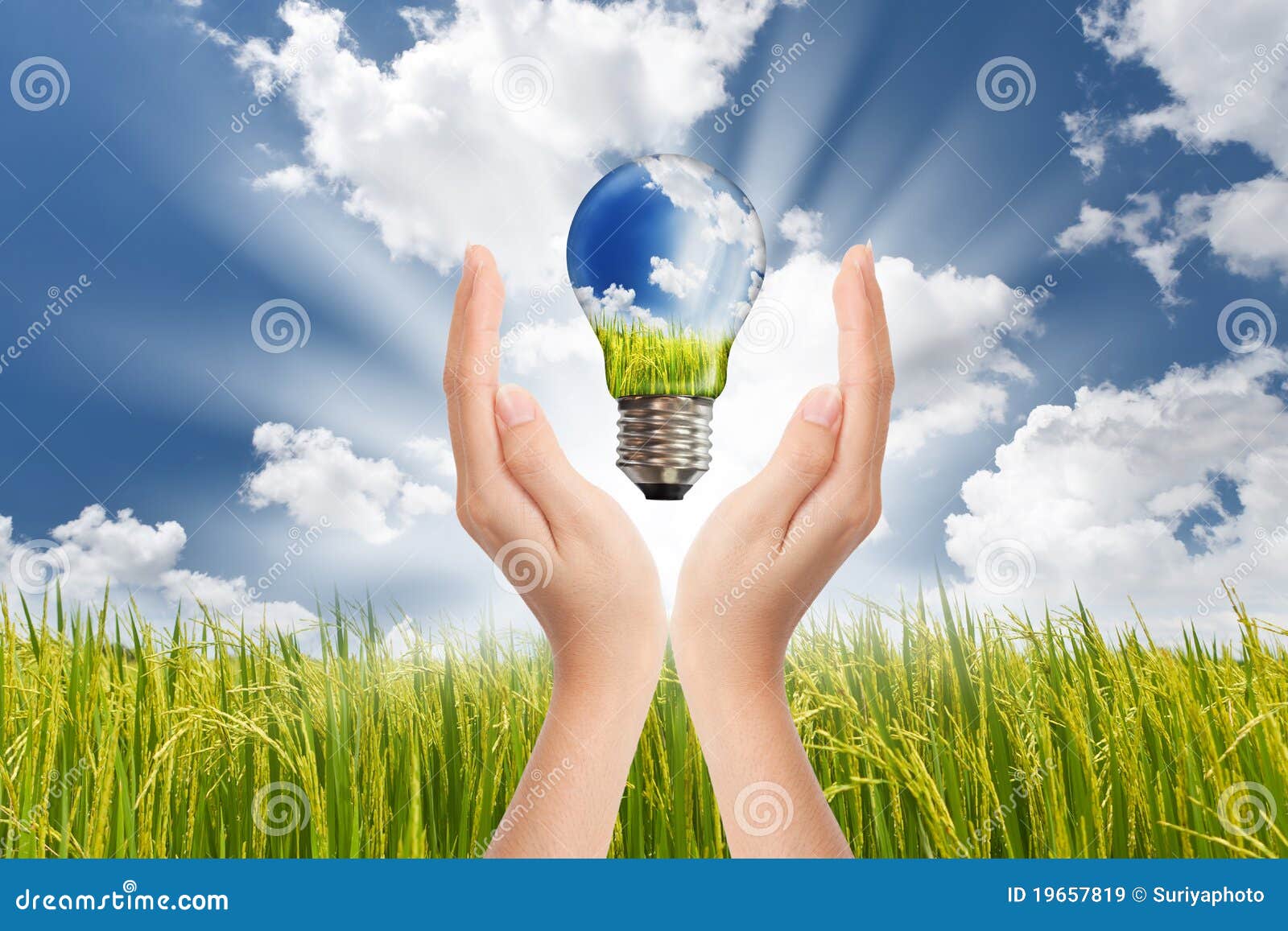 Hands saving Green Energy stock image. Image of green - 19657819