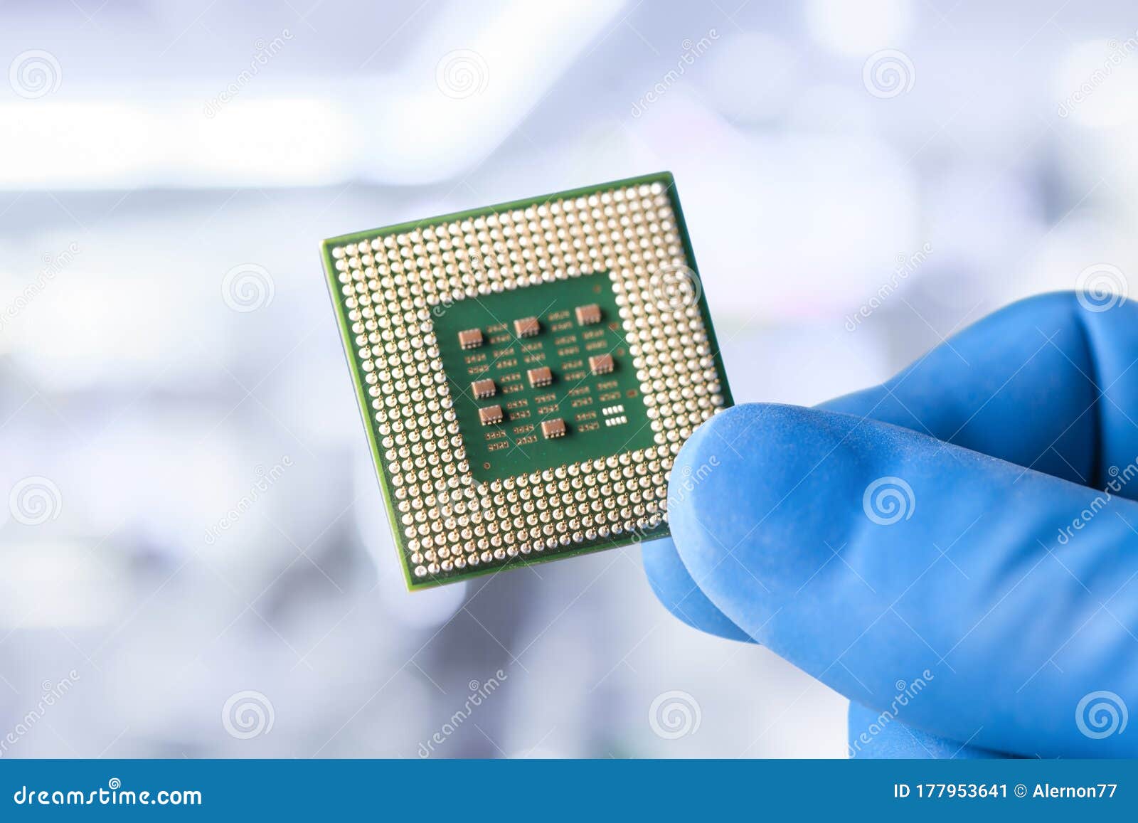 The Hands of the Scientist Hold the Processor Stock Image - Image of ...