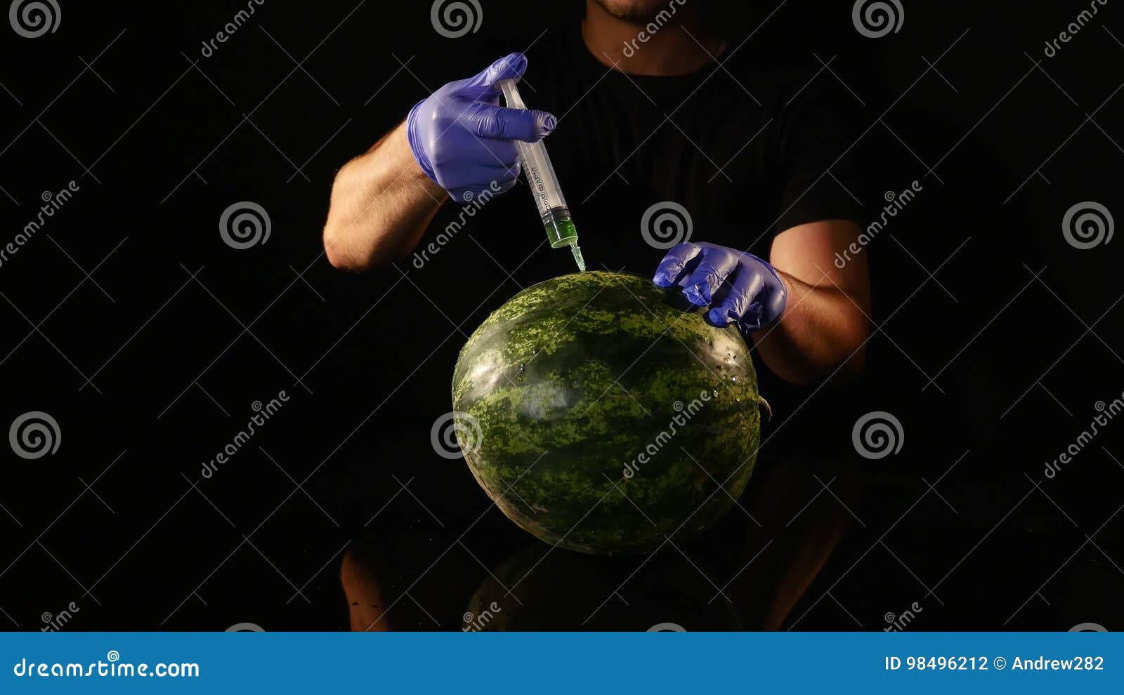 Hands of Scientist Injecting Chemicals into a Watermelon Stock Photo ...
