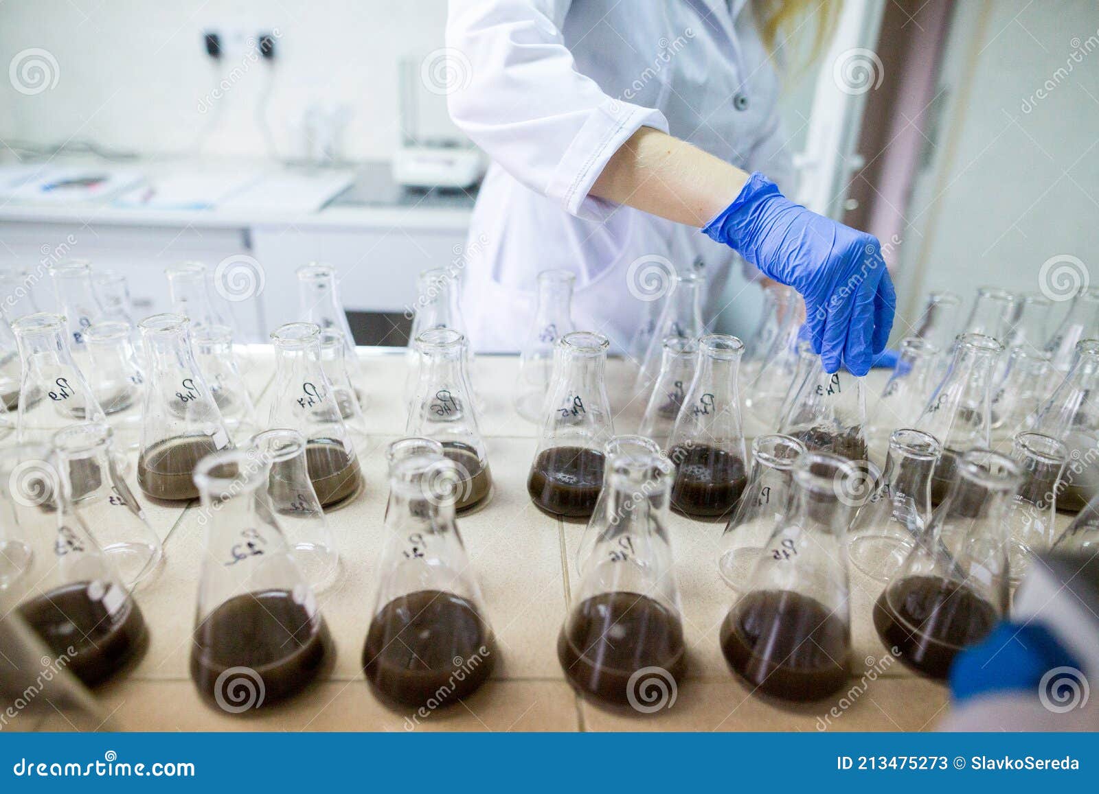 Hands Of The Scientist In Laboratory Shake A Glass Flasks With ...