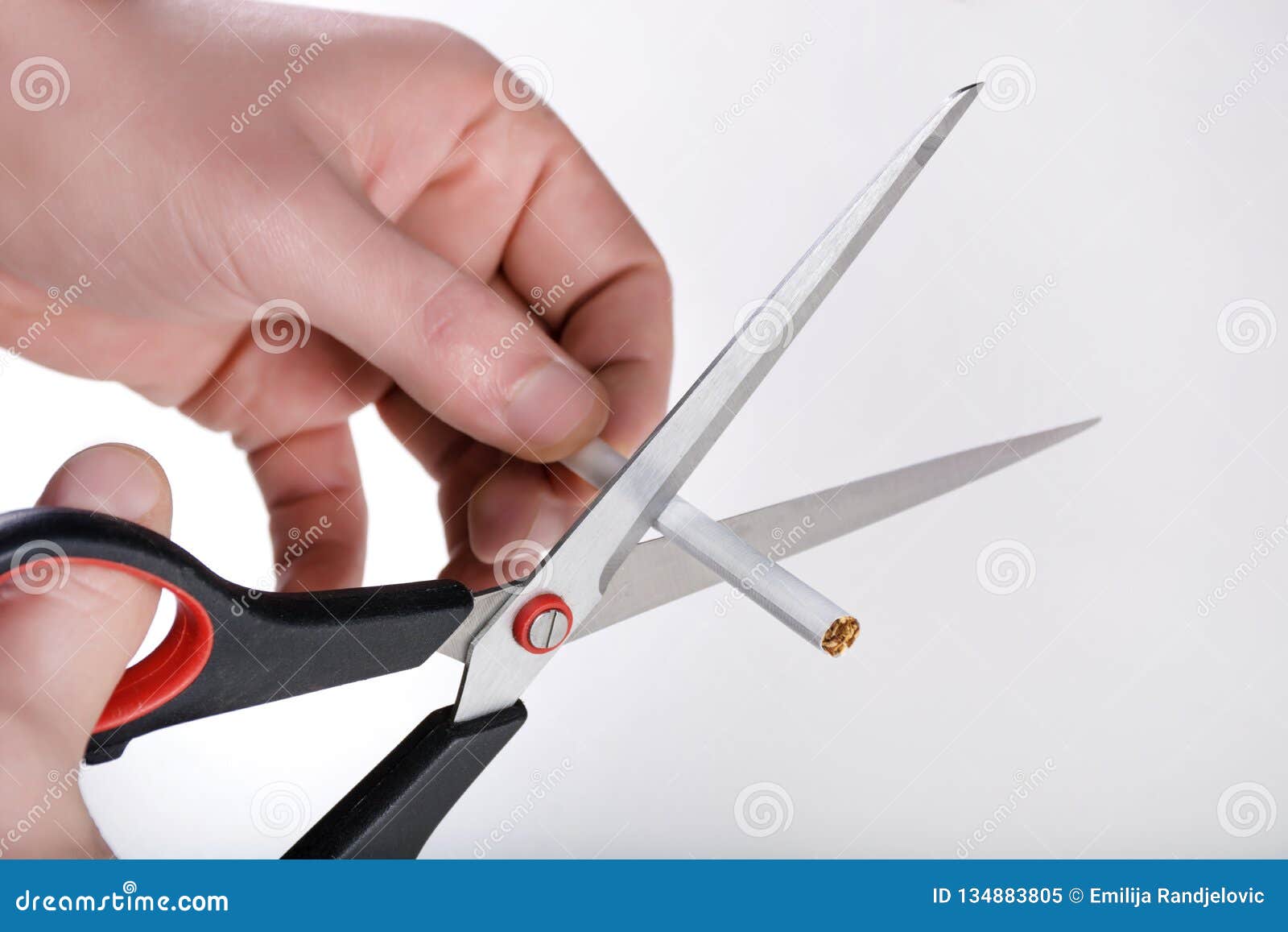 Hands with Scissors Cutting a Cigar on White Background Stock Image ...