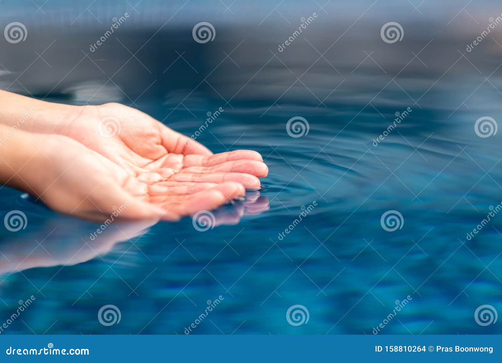 Hands scooping clear water stock photo. Image of liquid - 158810264