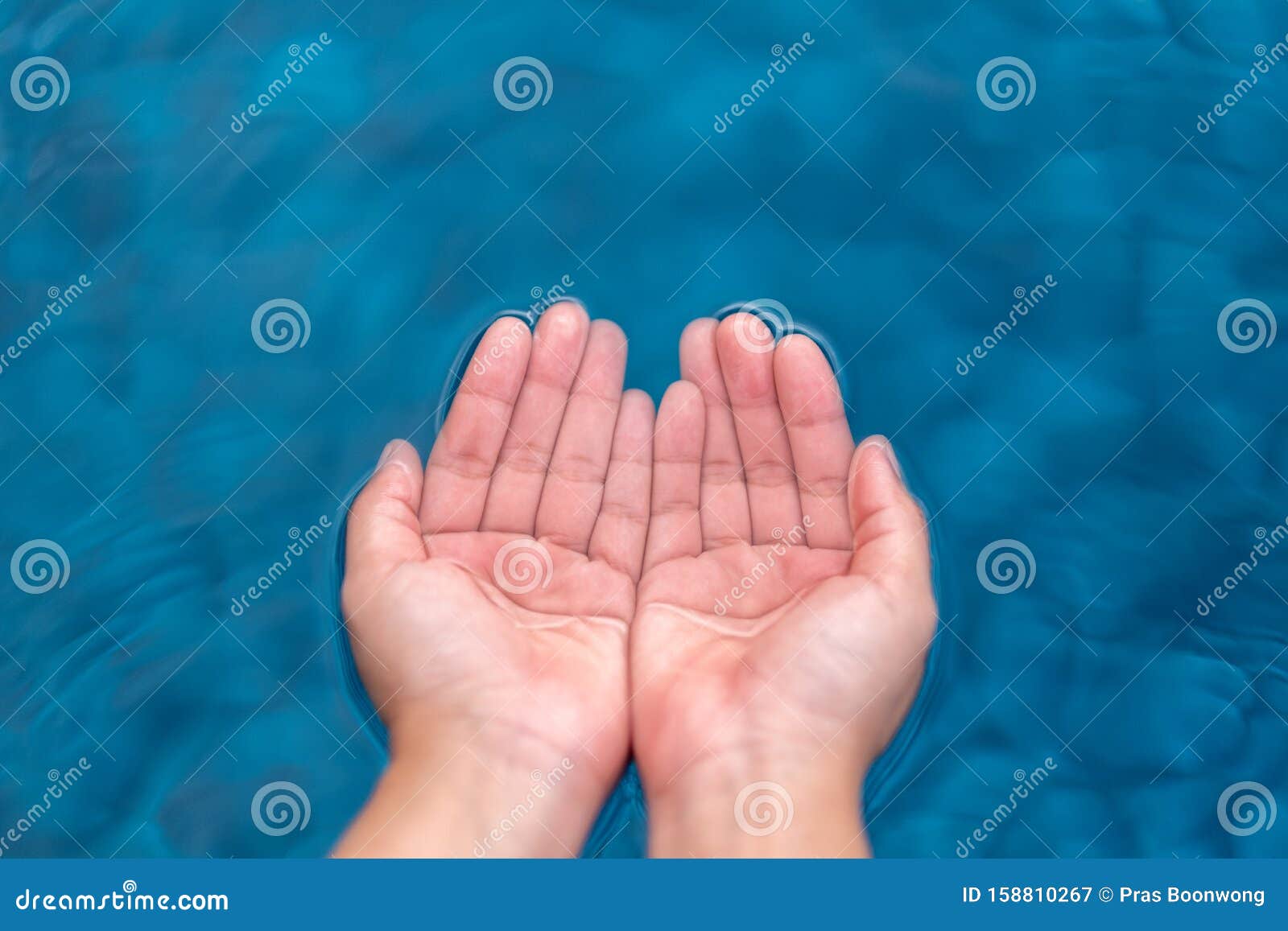 Hands scooping clear water stock image. Image of hold - 158810267