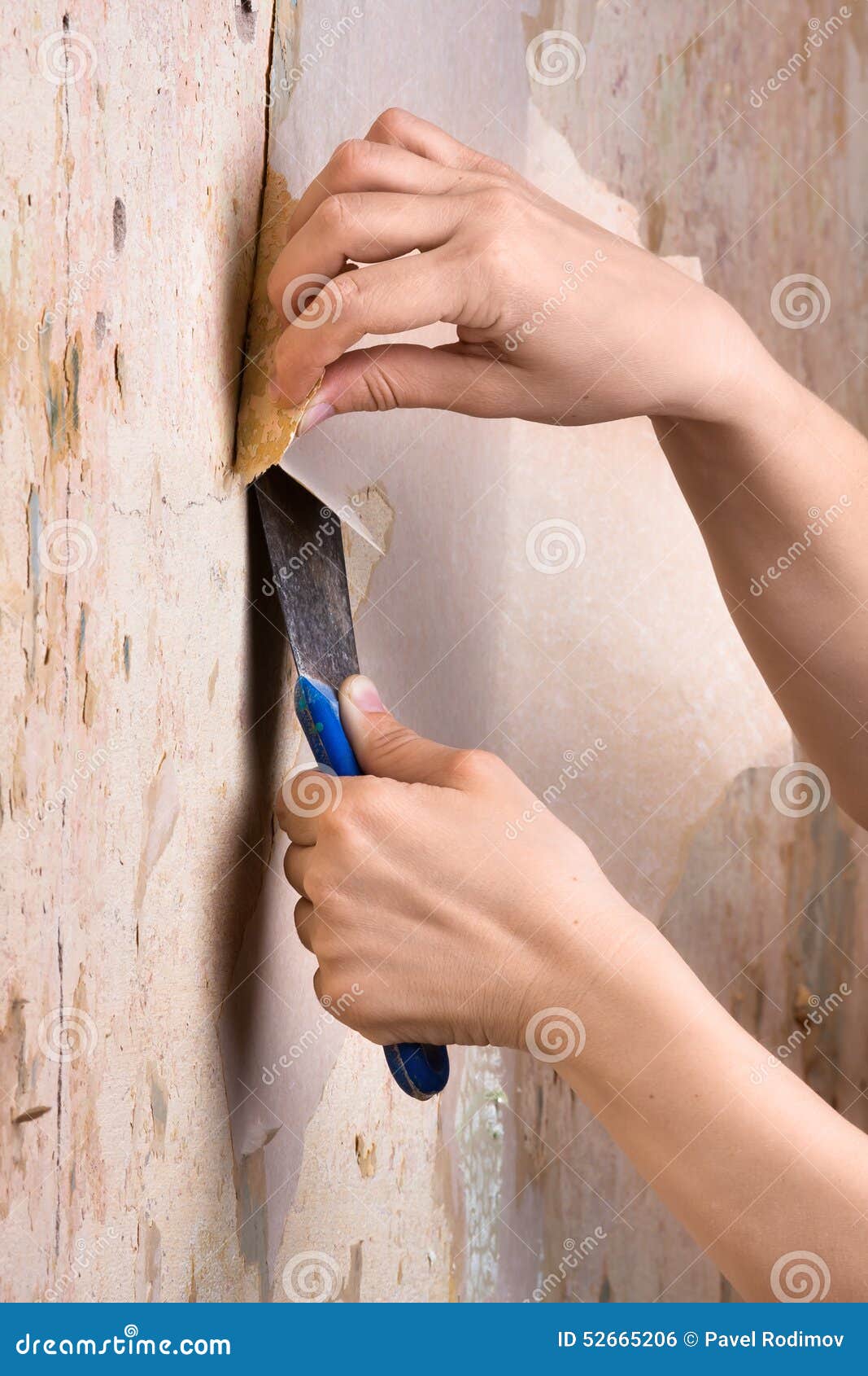 Hands Scraping Off Old Wallpaper from Wall Stock Photo - Image of home ...