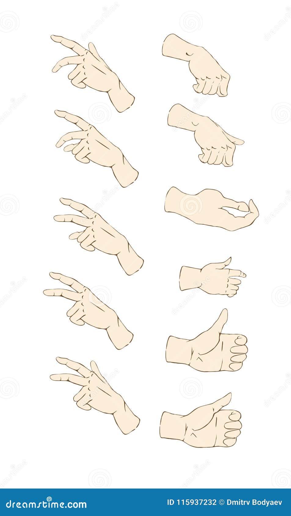 Hands of a Set of Illustrations Stock Illustration - Illustration of ...