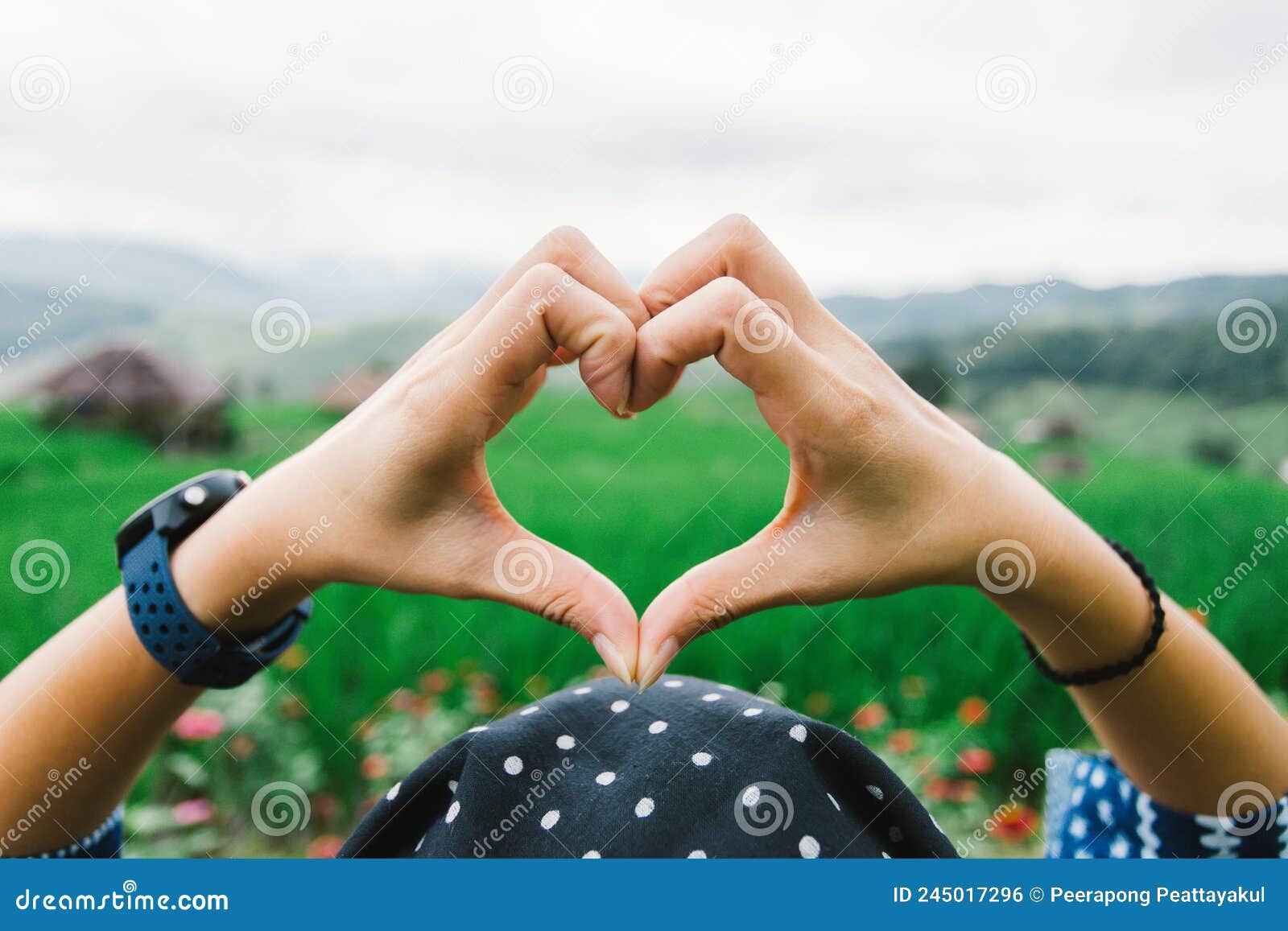 Hands in Shape of Love Heart Stock Photo - Image of hands, inspiration ...