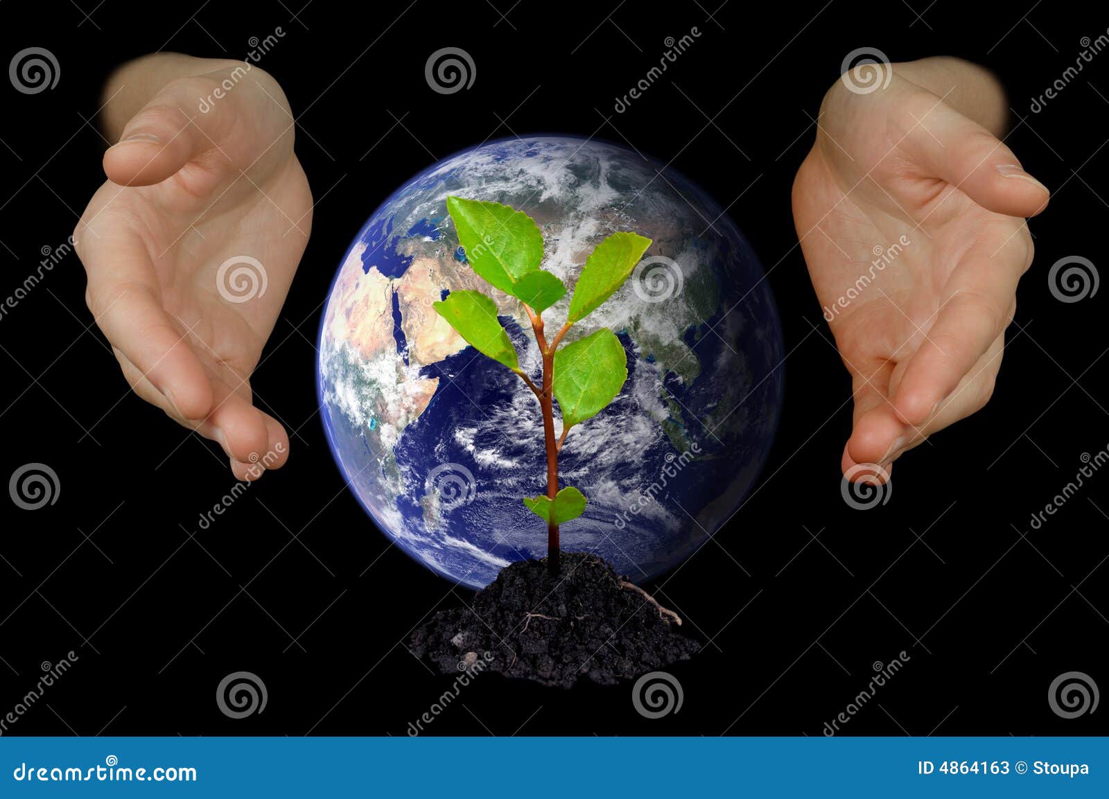 Hands Shielding Young Tree and Earth Stock Image - Image of small ...