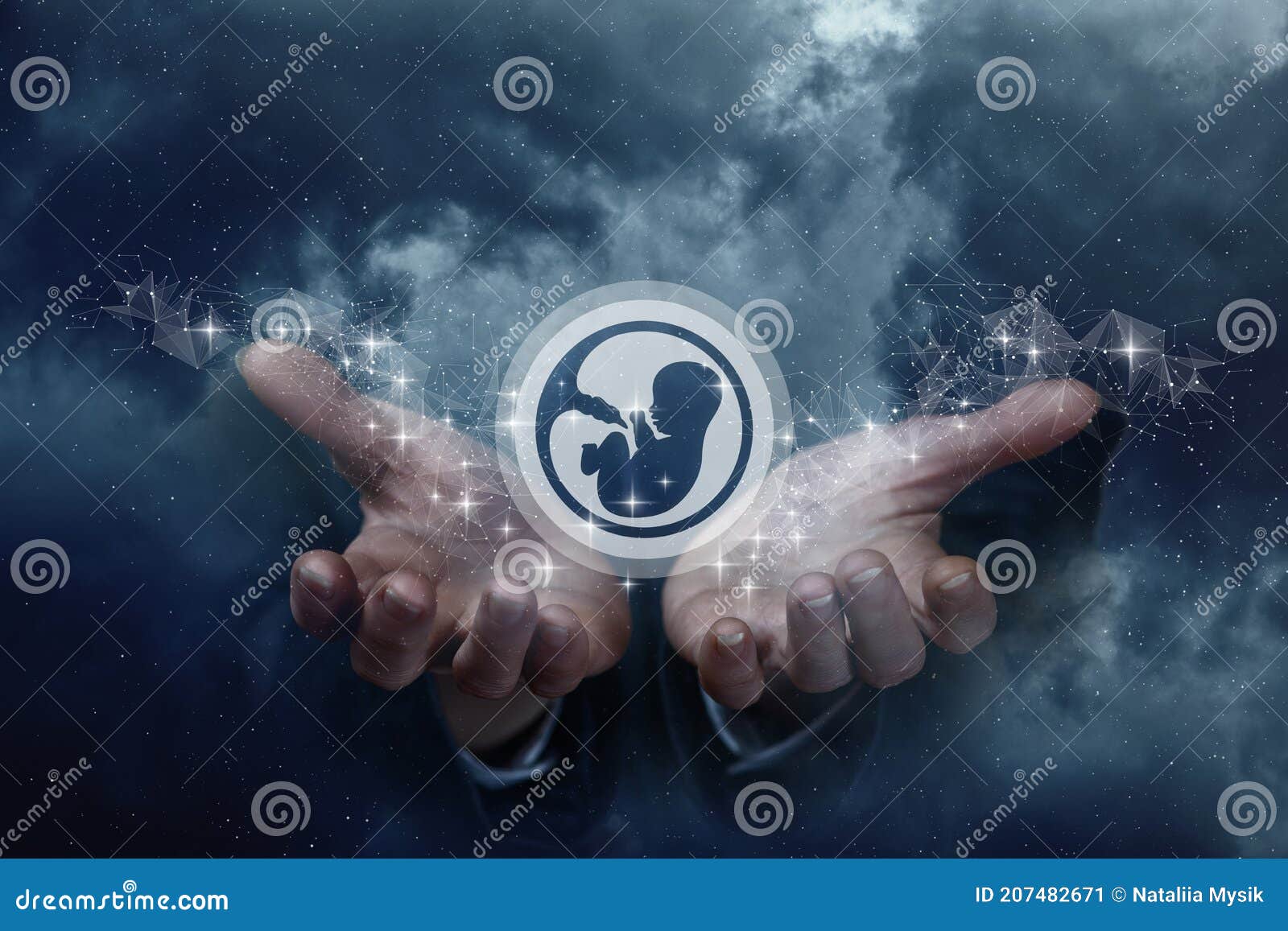 Hands show human embryo stock image. Image of genetic - 207482671