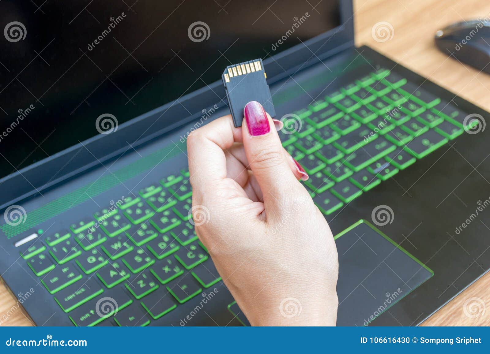 Hands Show Memory Card of Laptops User on Working Stock Photo - Image ...