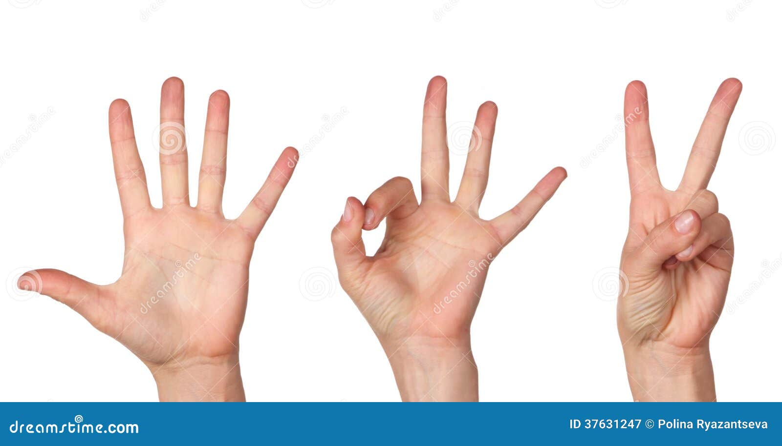 Hands showing signs stock image. Image of happy, fist - 37631247